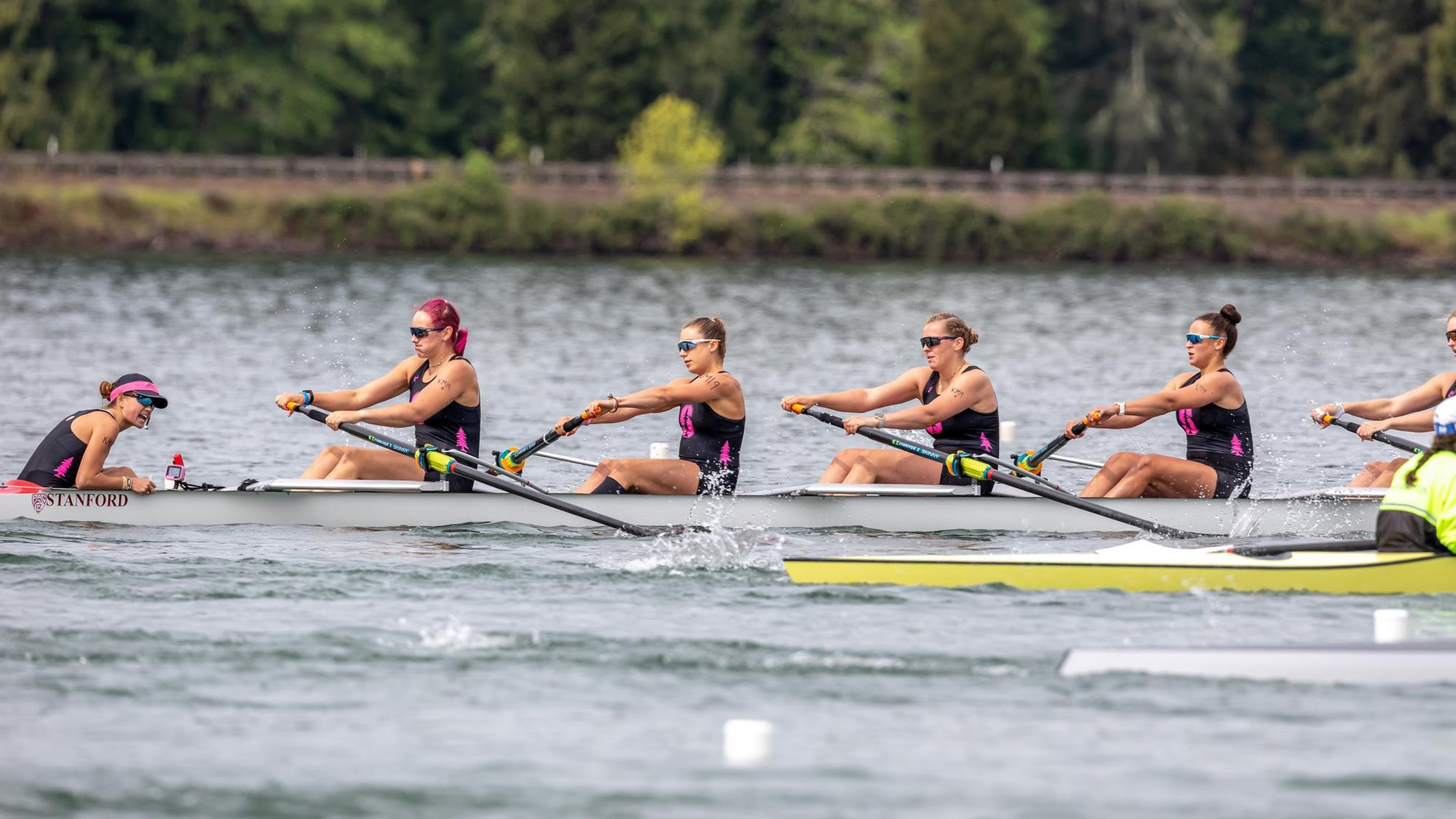 End-of-Year Awards Sweep - Stanford Cardinal - Official Athletics Website