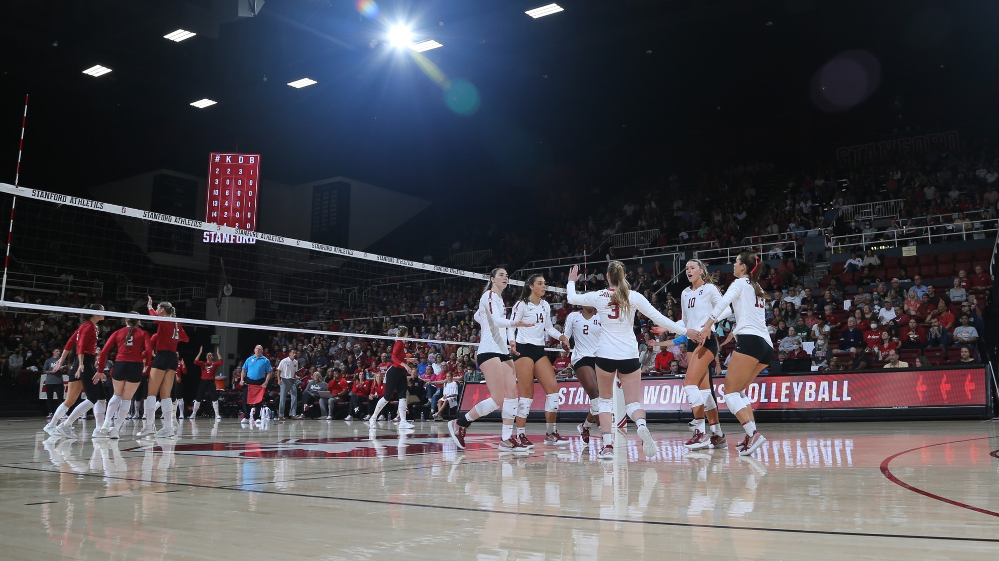 Elia Rubin - Women's Volleyball 2024 - Stanford Cardinal - Official ...