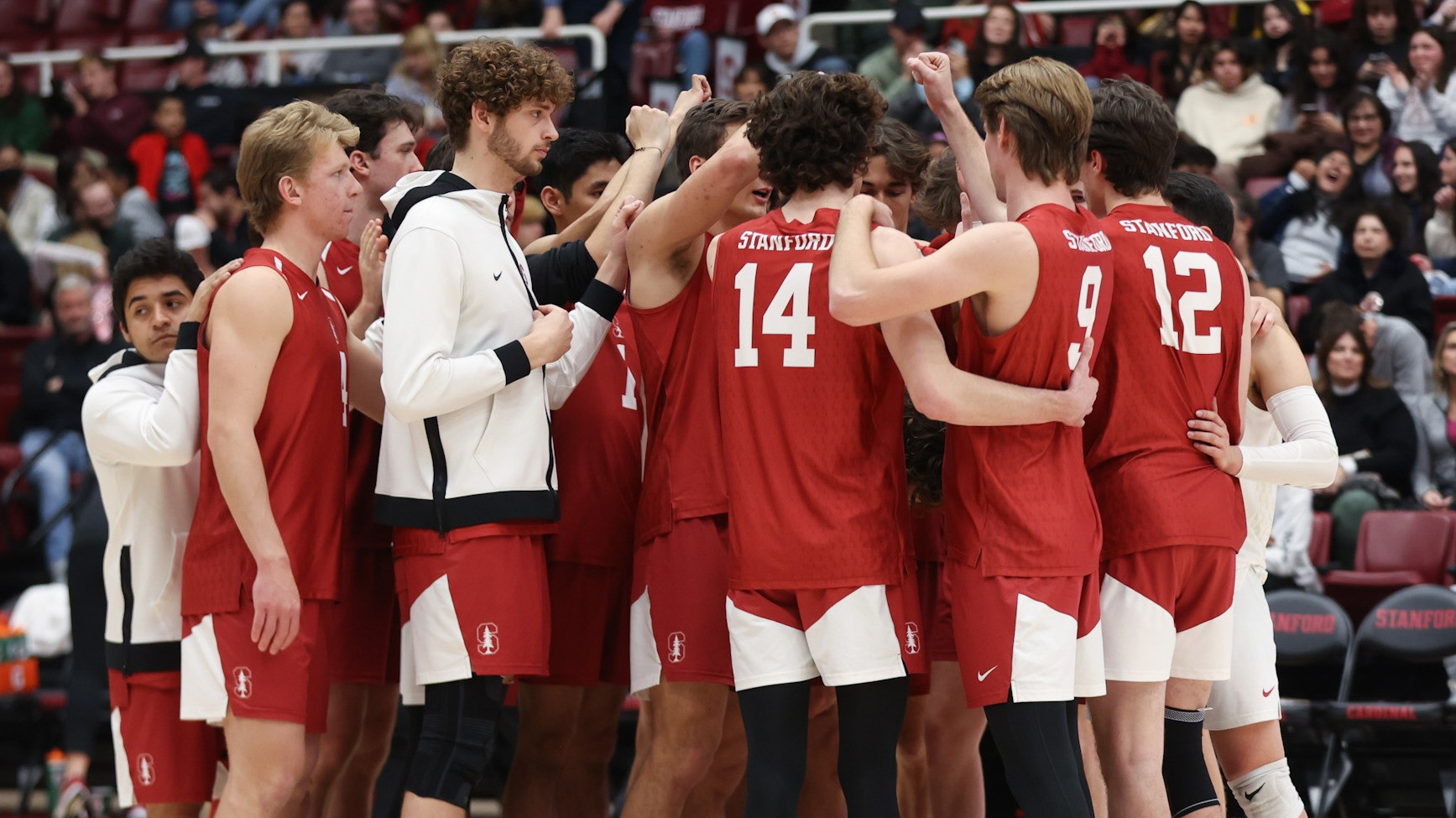 Will Rottman - Men's Volleyball 2024 - Stanford Cardinal - Official ...