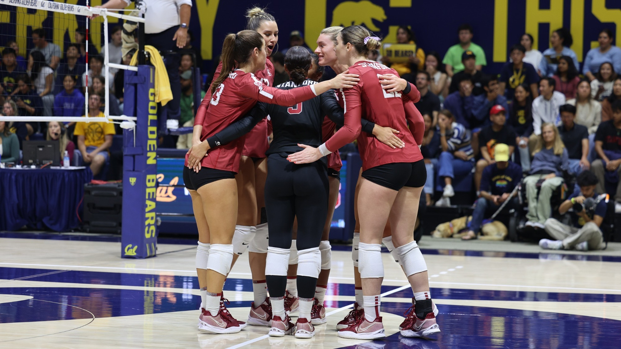 Big Spike Win - Stanford Cardinal - Official Athletics Website