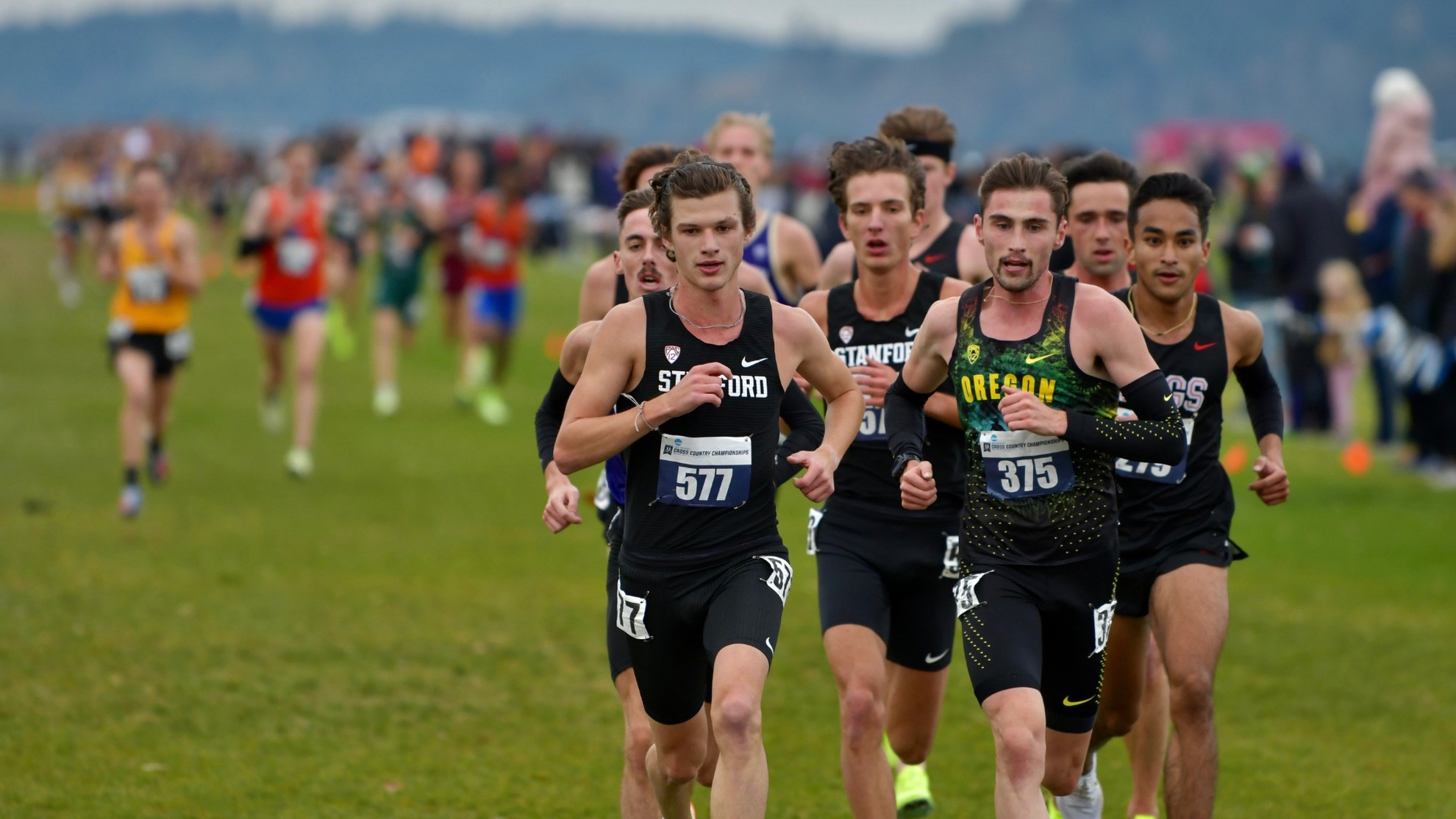 Season in Review: Cross Country - Stanford Cardinal - Official ...