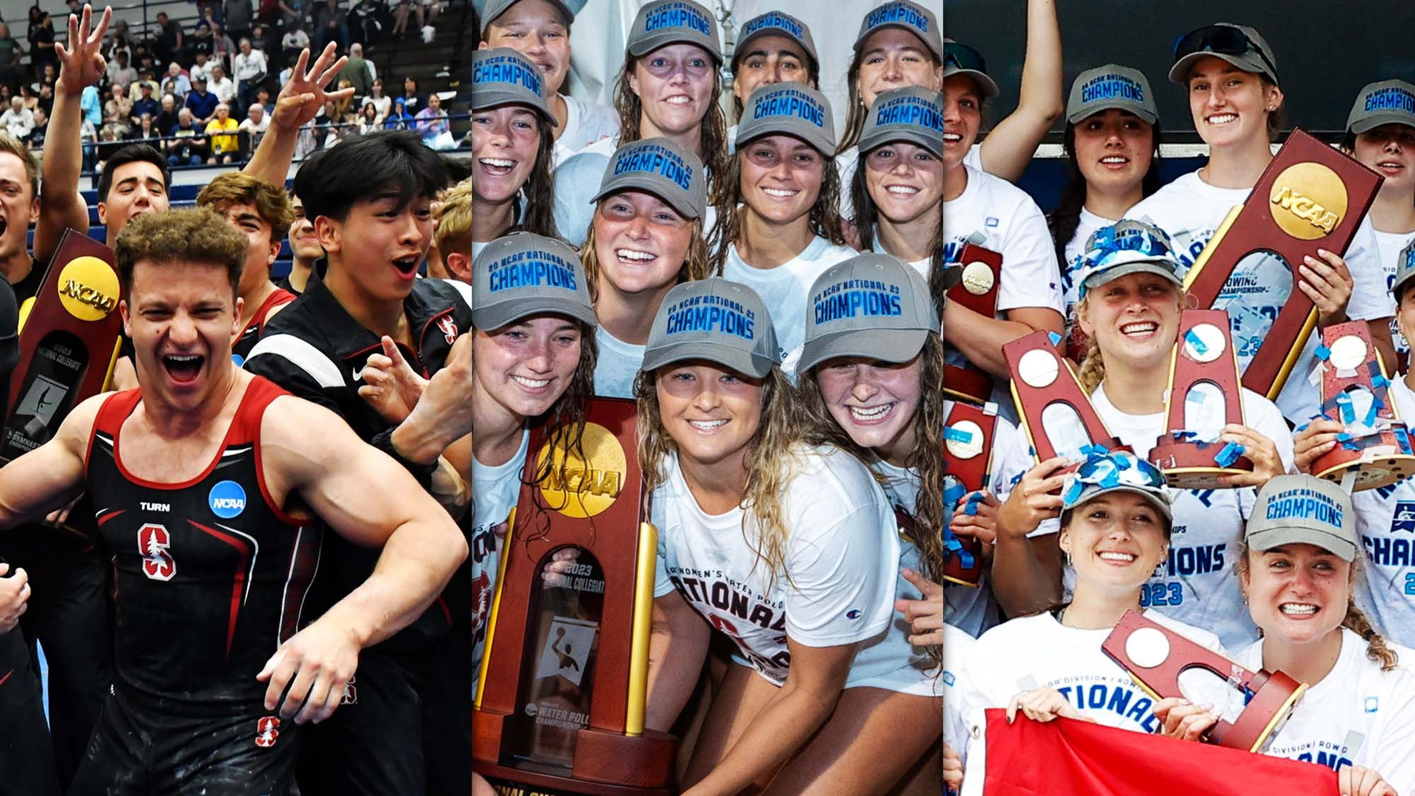 Directors' Cup Reclaimed - Stanford Cardinal - Official Athletics Website