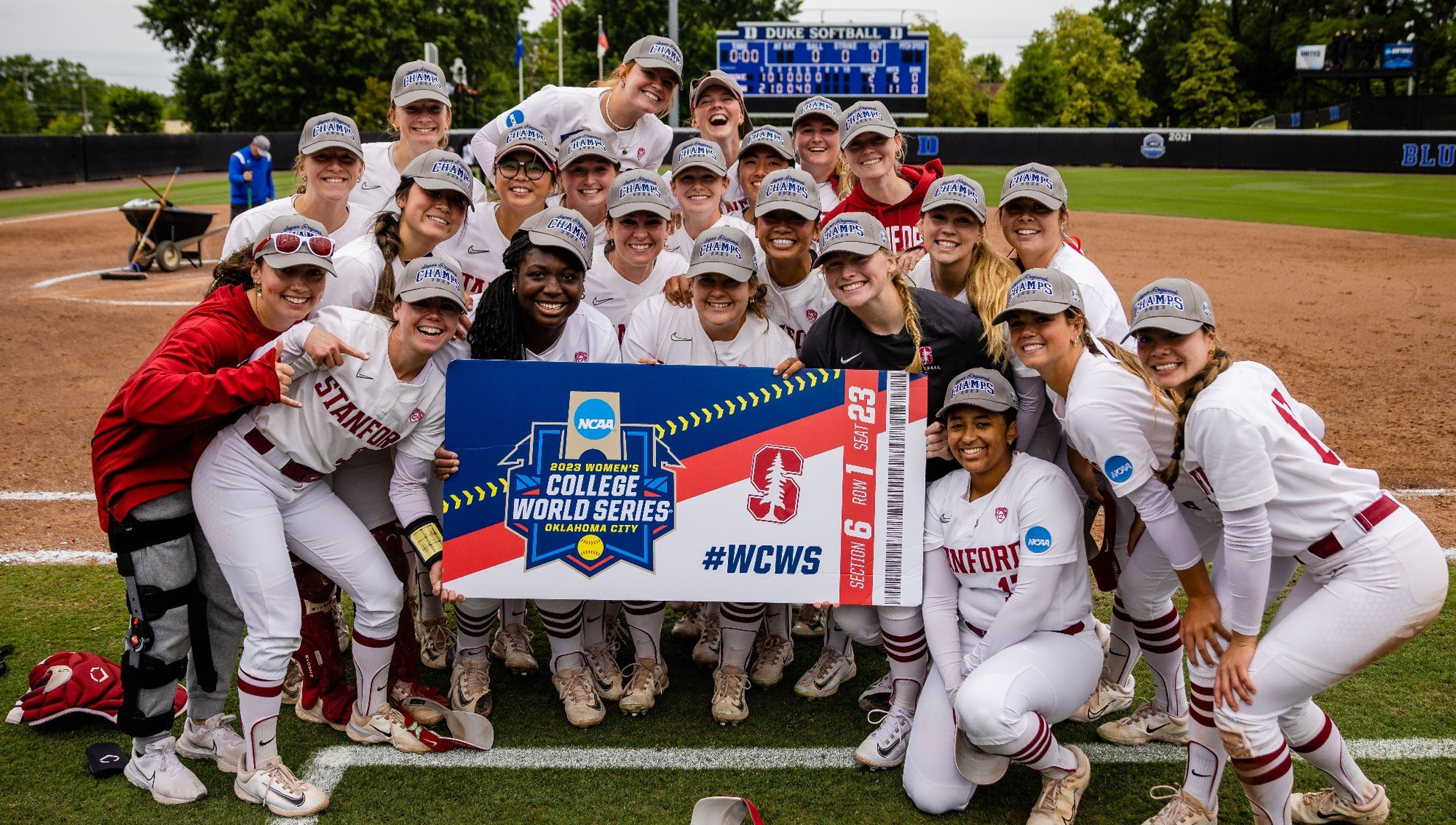 Meet The Tree, OKC - Stanford Cardinal - Official Athletics Website