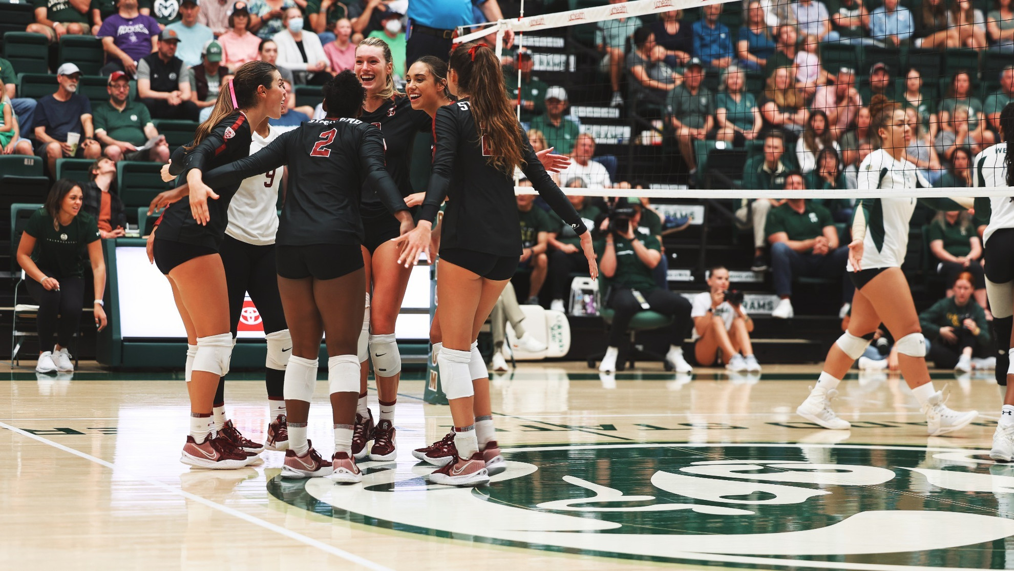 Elia Rubin - Women's Volleyball 2024 - Stanford Cardinal - Official ...