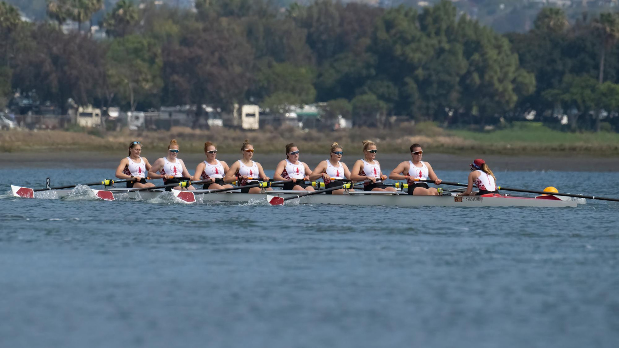 Cal Cup Secured - Stanford Cardinal - Official Athletics Website
