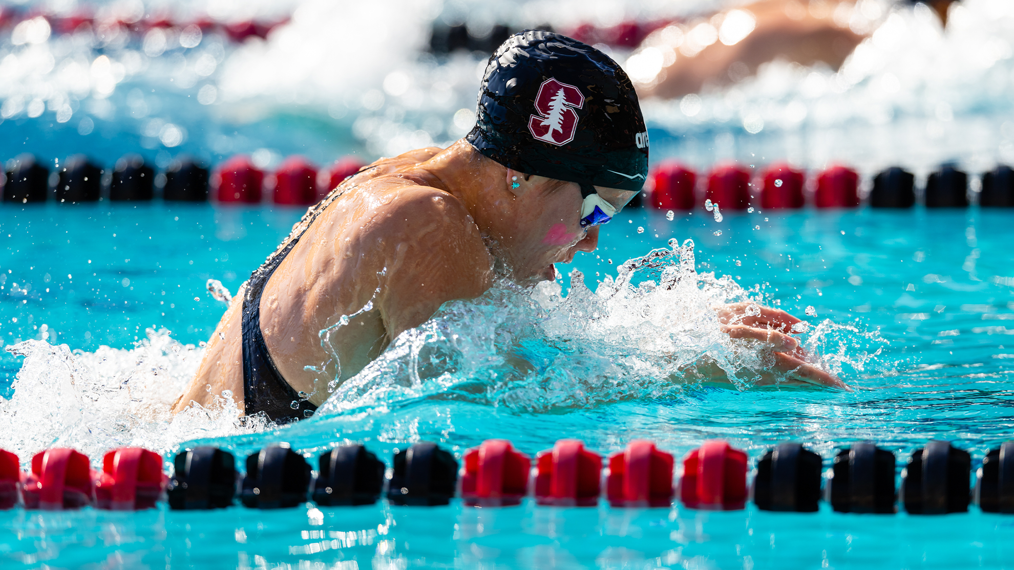 Rivalry Win in Regular Season Finale - Stanford Cardinal - Official ...