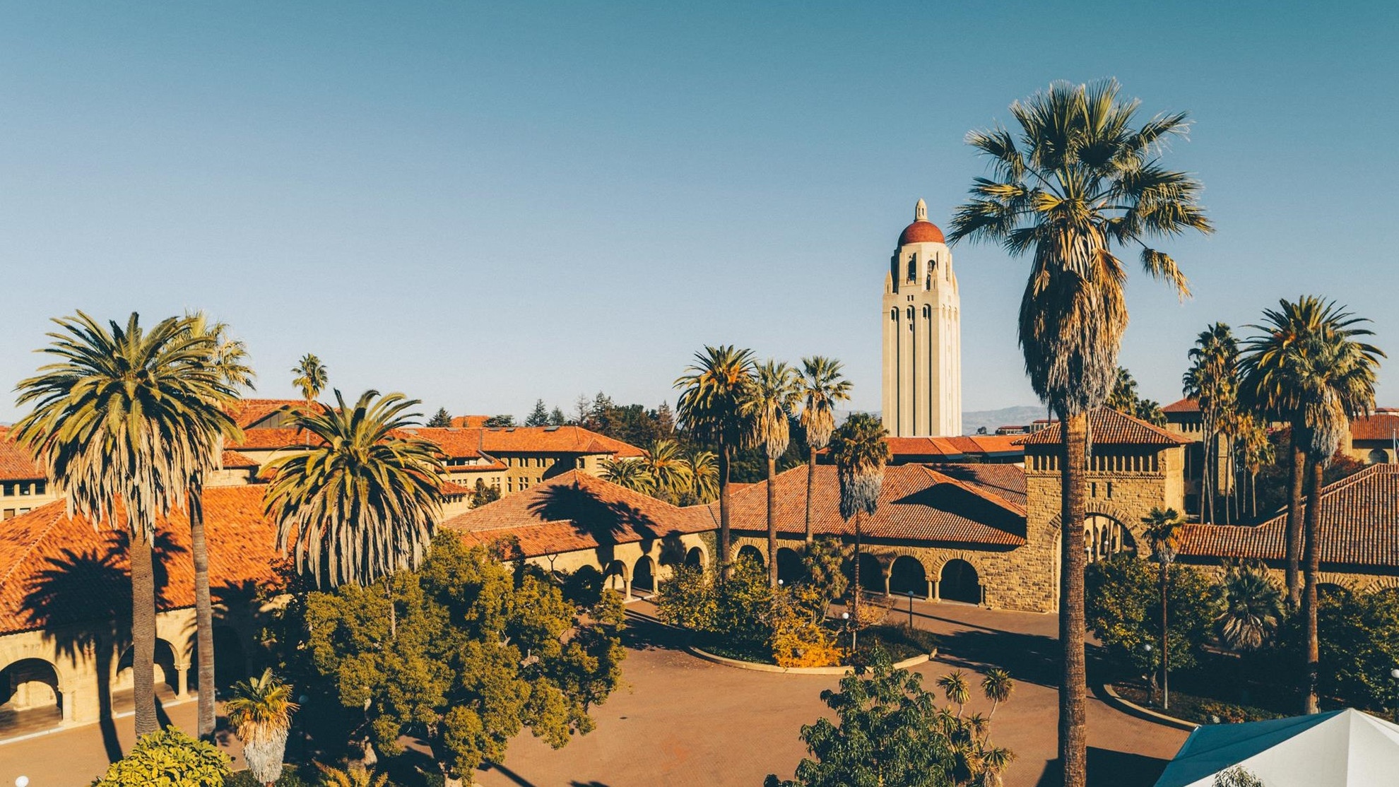Resilient Cardinal: 2020-21 Year in Review - Stanford Cardinal ...