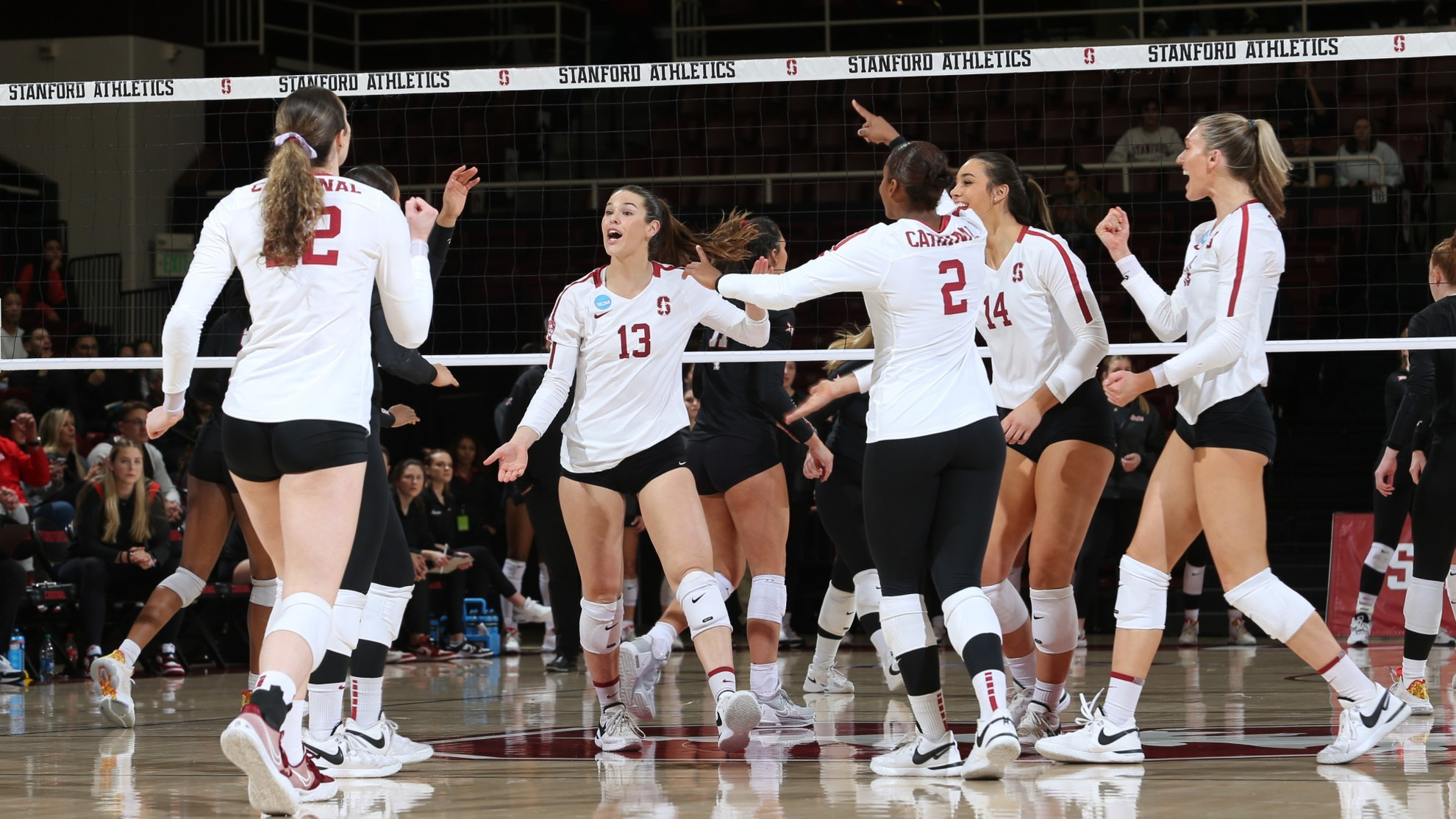 Stanford is Sweet Once Again - Stanford Cardinal - Official Athletics ...