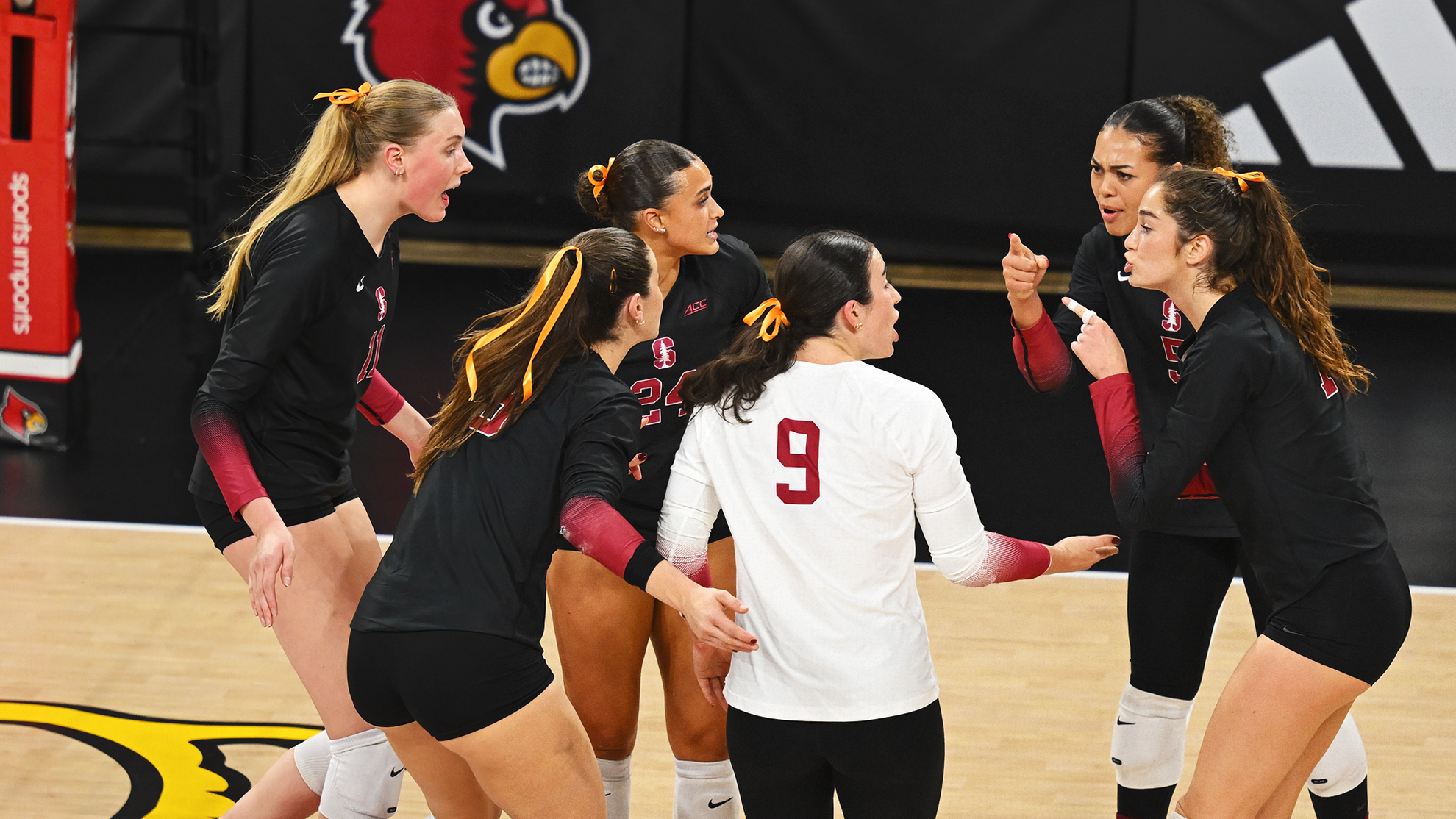 ACC Champions - Stanford Cardinal - Official Athletics Website