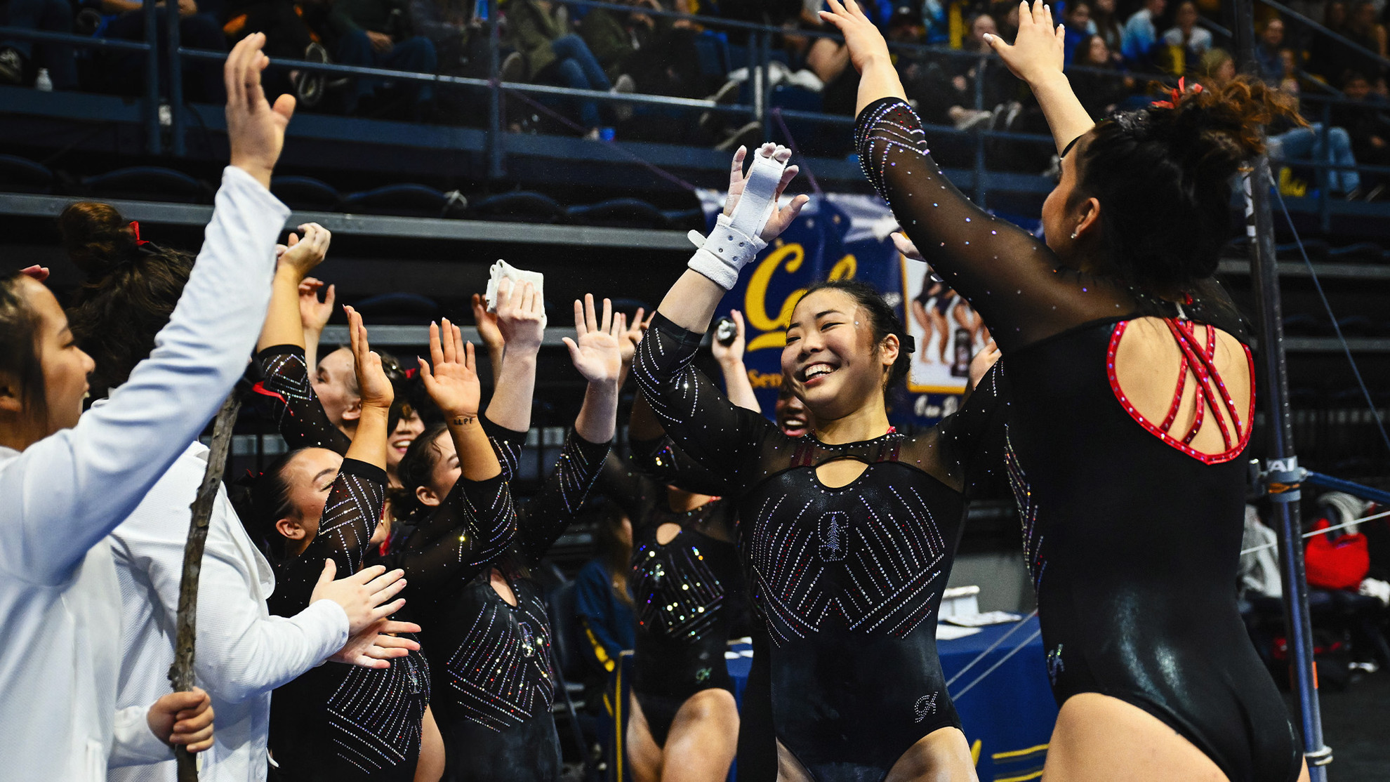 No. 13 Cardinal Places Second at Haas Quad Meet #2 - Stanford Cardinal ...