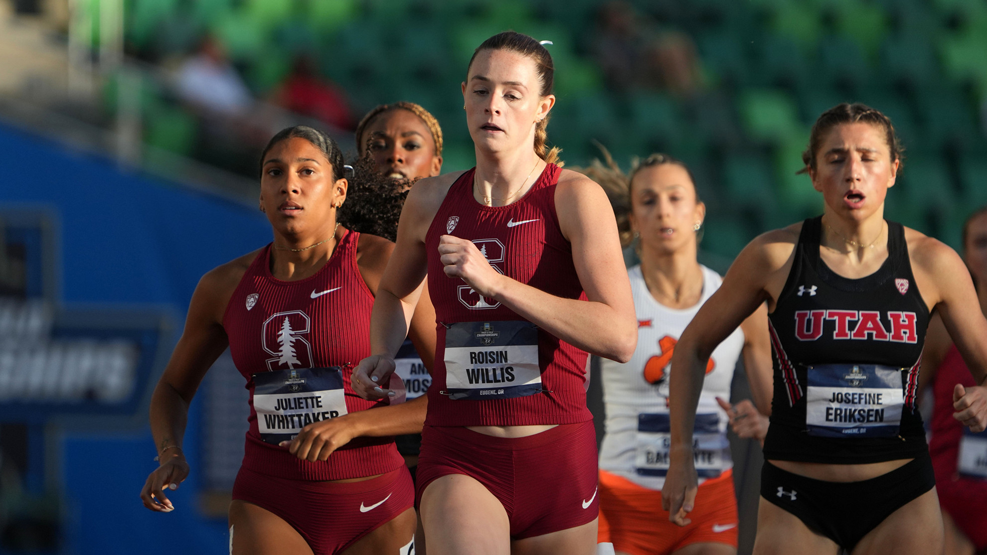 Card Poised for Olympic Trials - Stanford Cardinal - Official Athletics ...