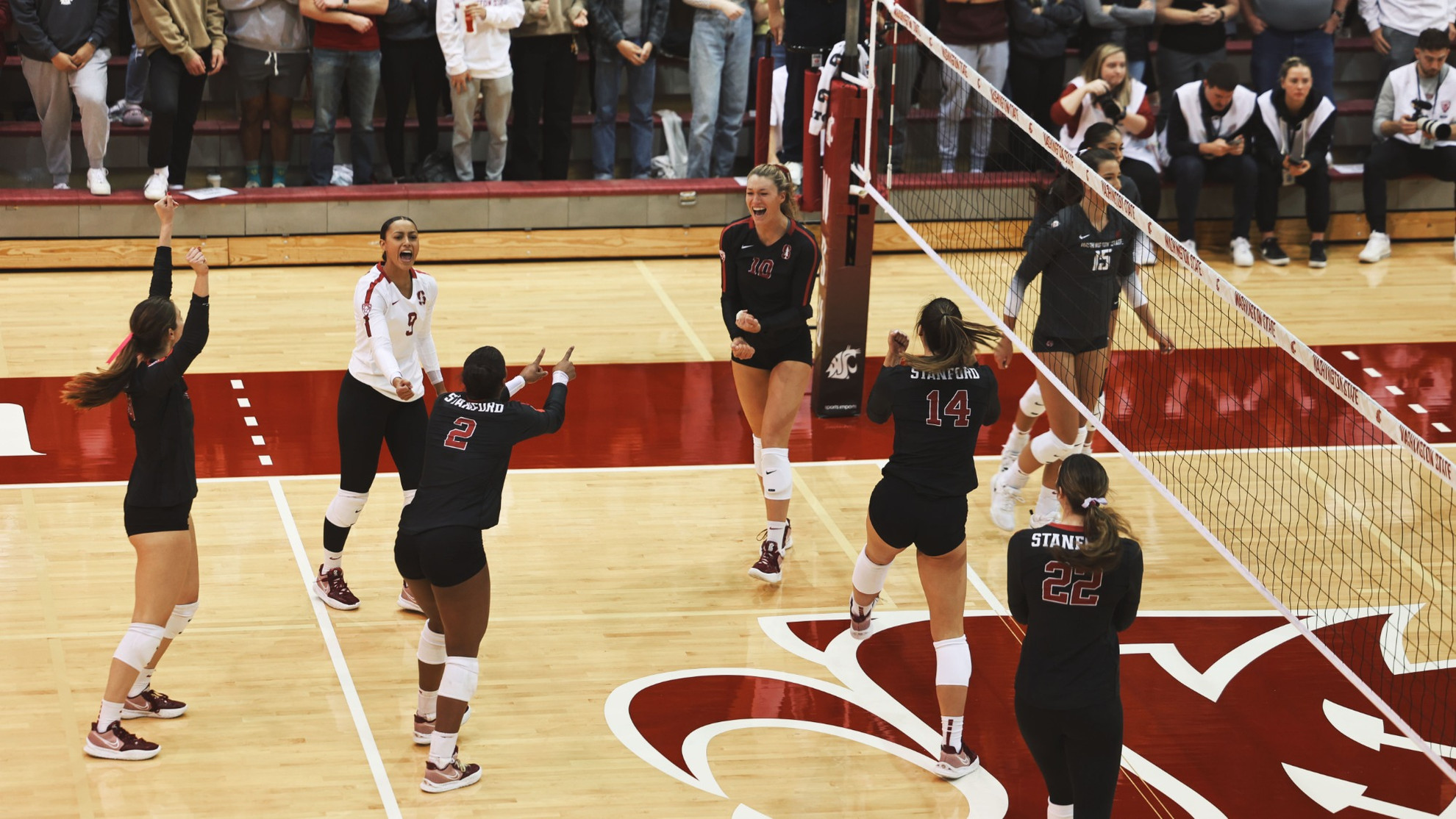 Elia Rubin - Women's Volleyball 2024 - Stanford Cardinal - Official ...