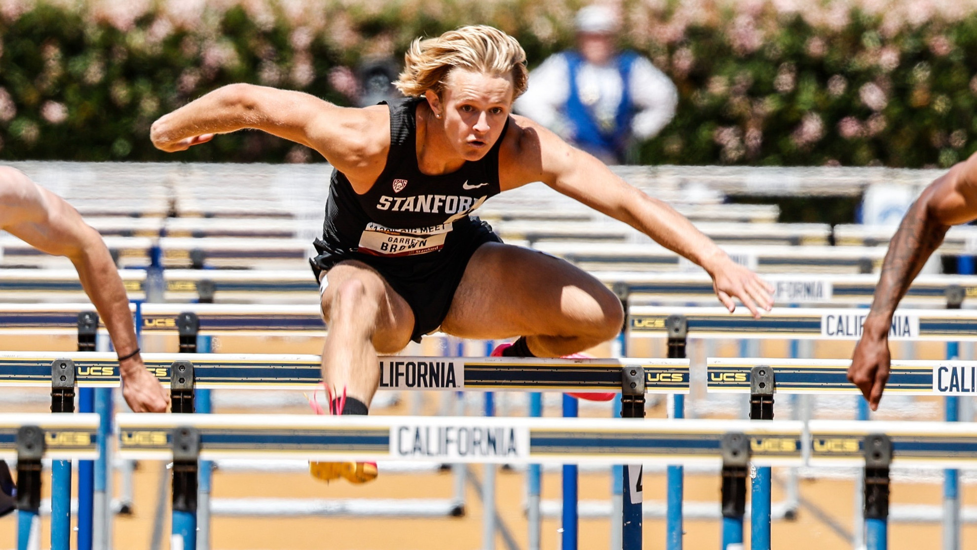 Multis Success for Brown - Stanford Cardinal - Official Athletics Website
