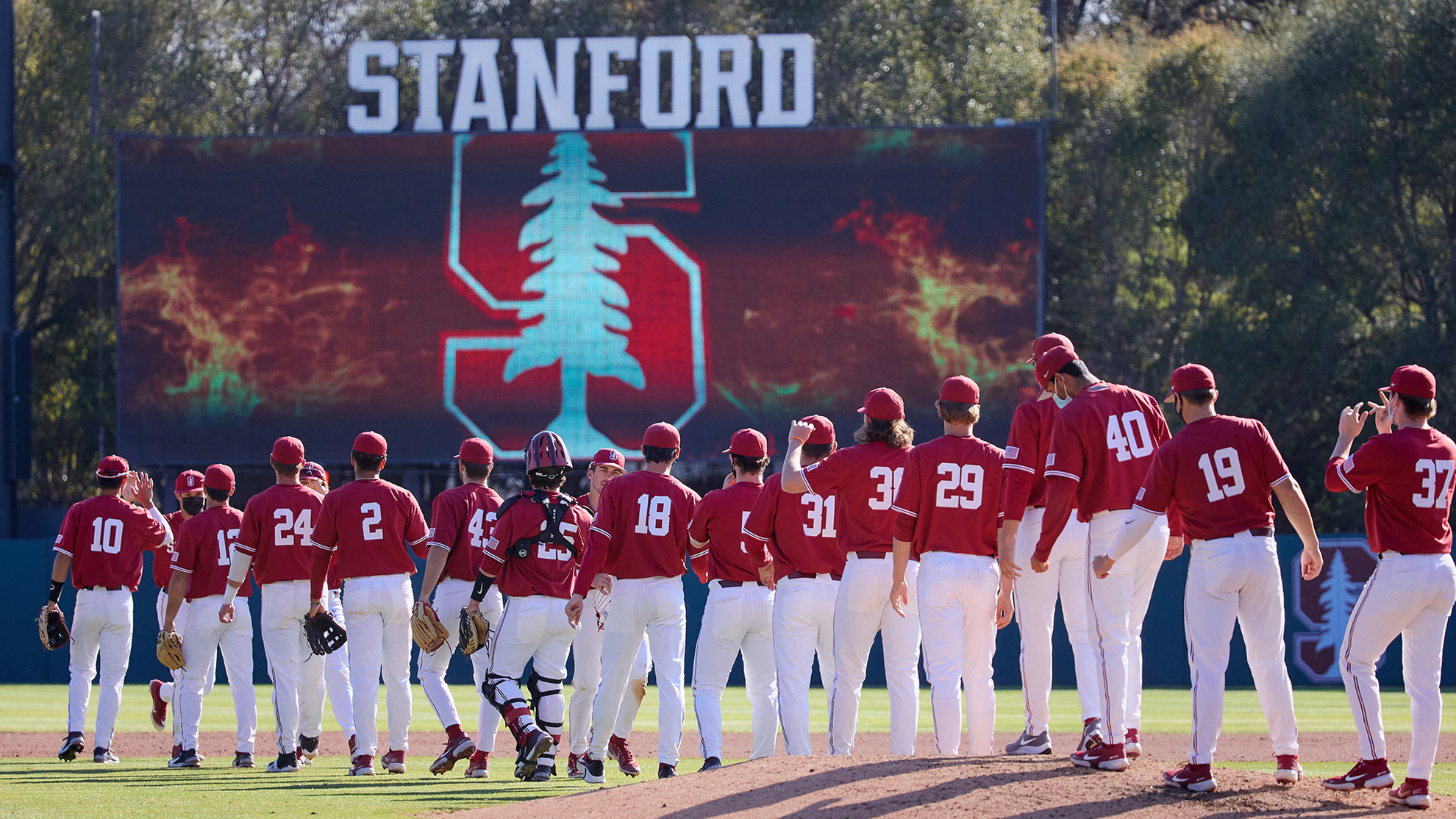 Meet the Seniors - Stanford Cardinal - Official Athletics Website