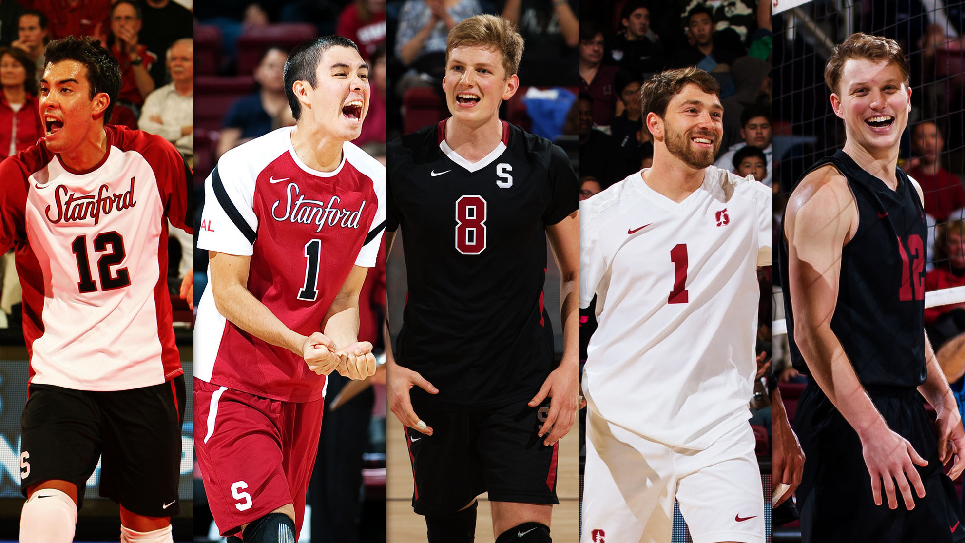 Cardinal in the Pros - Stanford Cardinal - Official Athletics Website