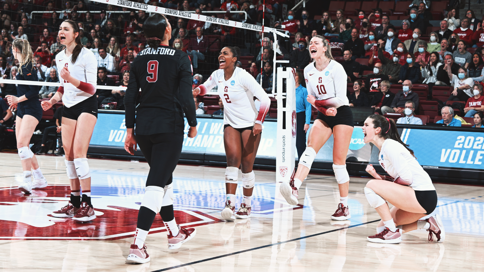 Elia Rubin - Women's Volleyball 2024 - Stanford Cardinal - Official ...