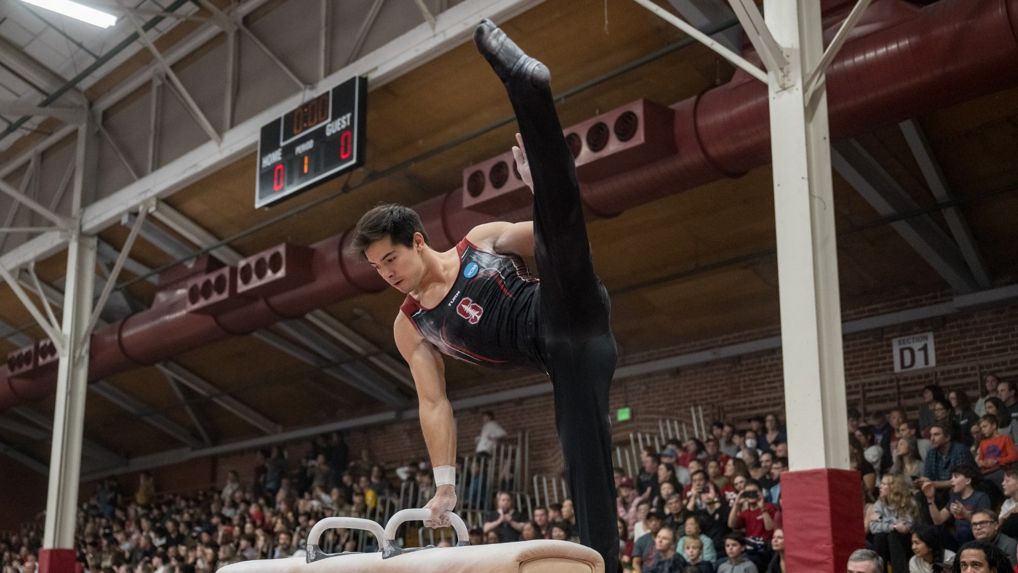 Stanford Sweeps Quad Meet - Stanford Cardinal - Official Athletics Website