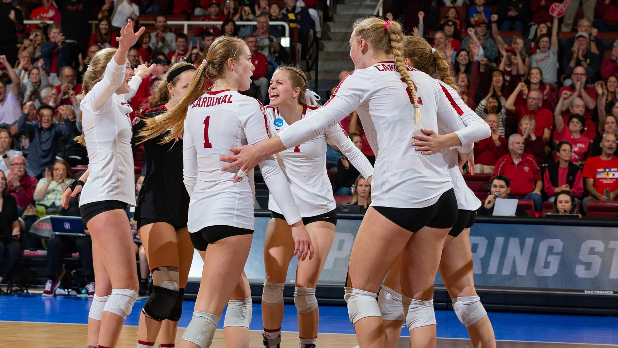 Cardinal Opens with Sweep - Stanford Cardinal - Official Athletics Website