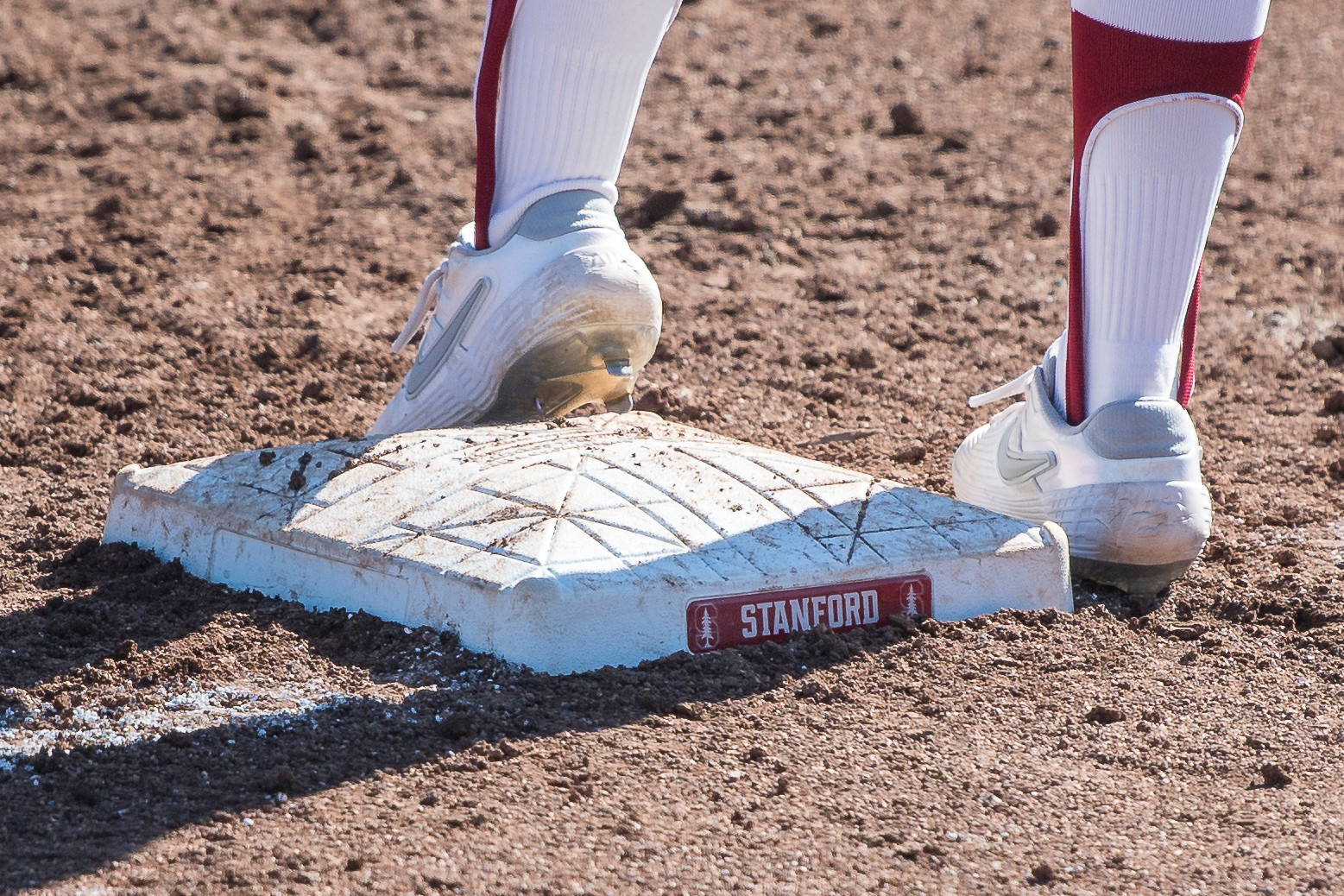 2024 Softball Promotions - Stanford Cardinal - Official Athletics Website