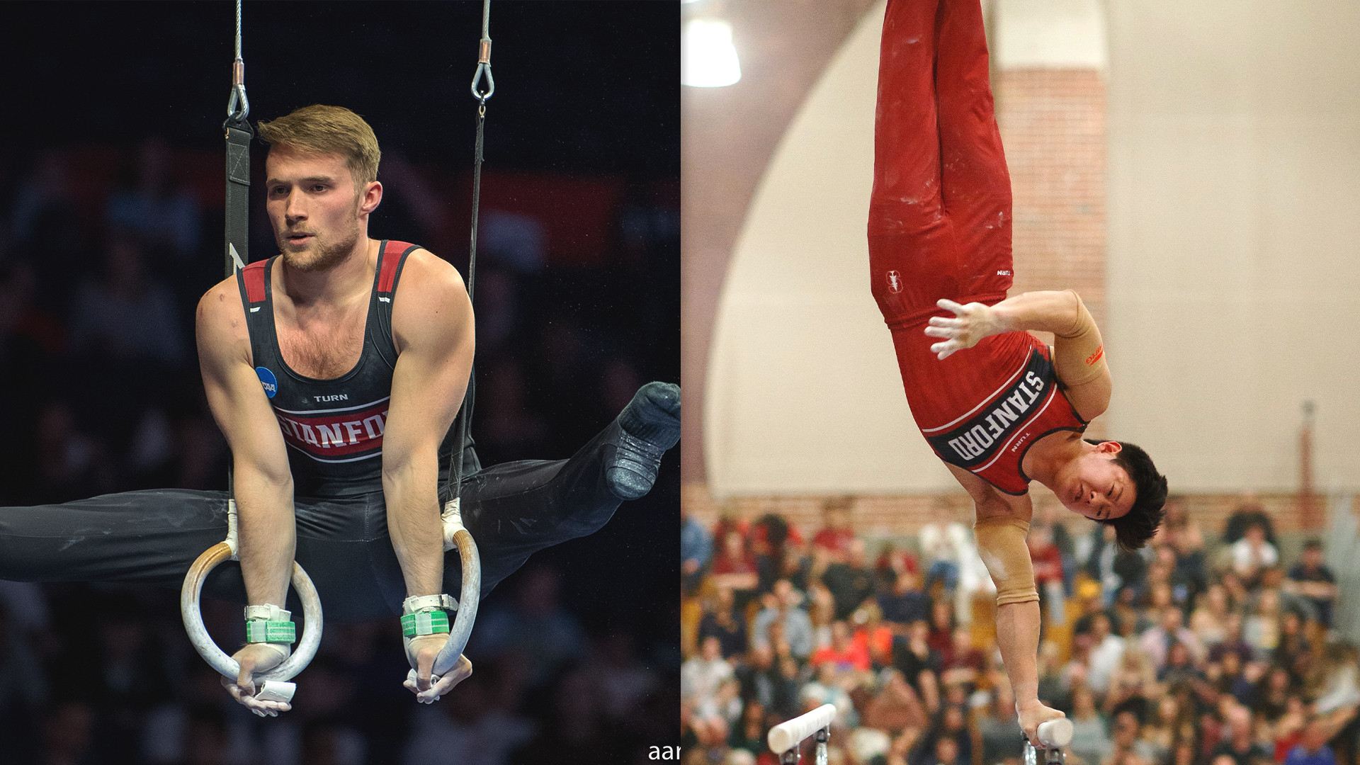 Nissen-Emery Finalists - Stanford Cardinal - Official Athletics Website