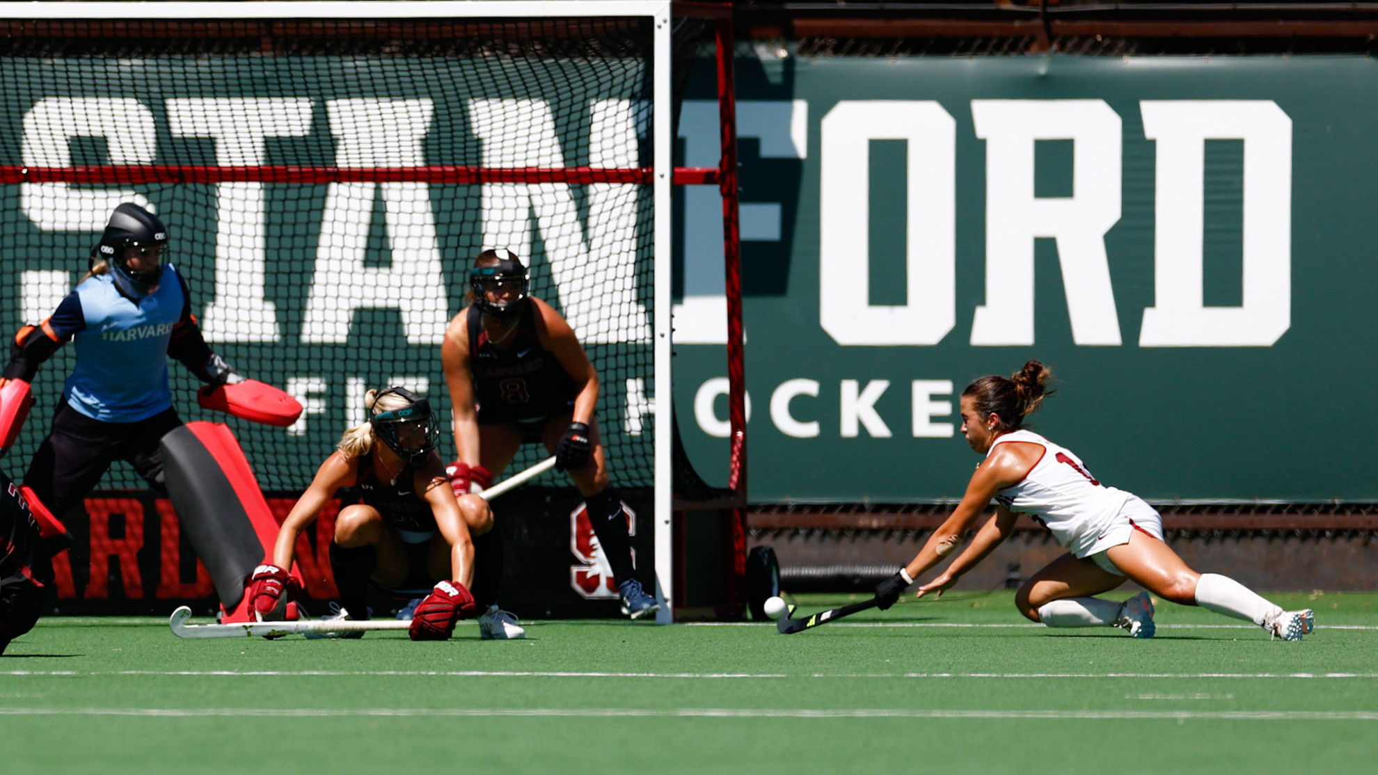 Cardinal Falls to No. 6 Crimson, 3-2 - Stanford Cardinal - Official ...