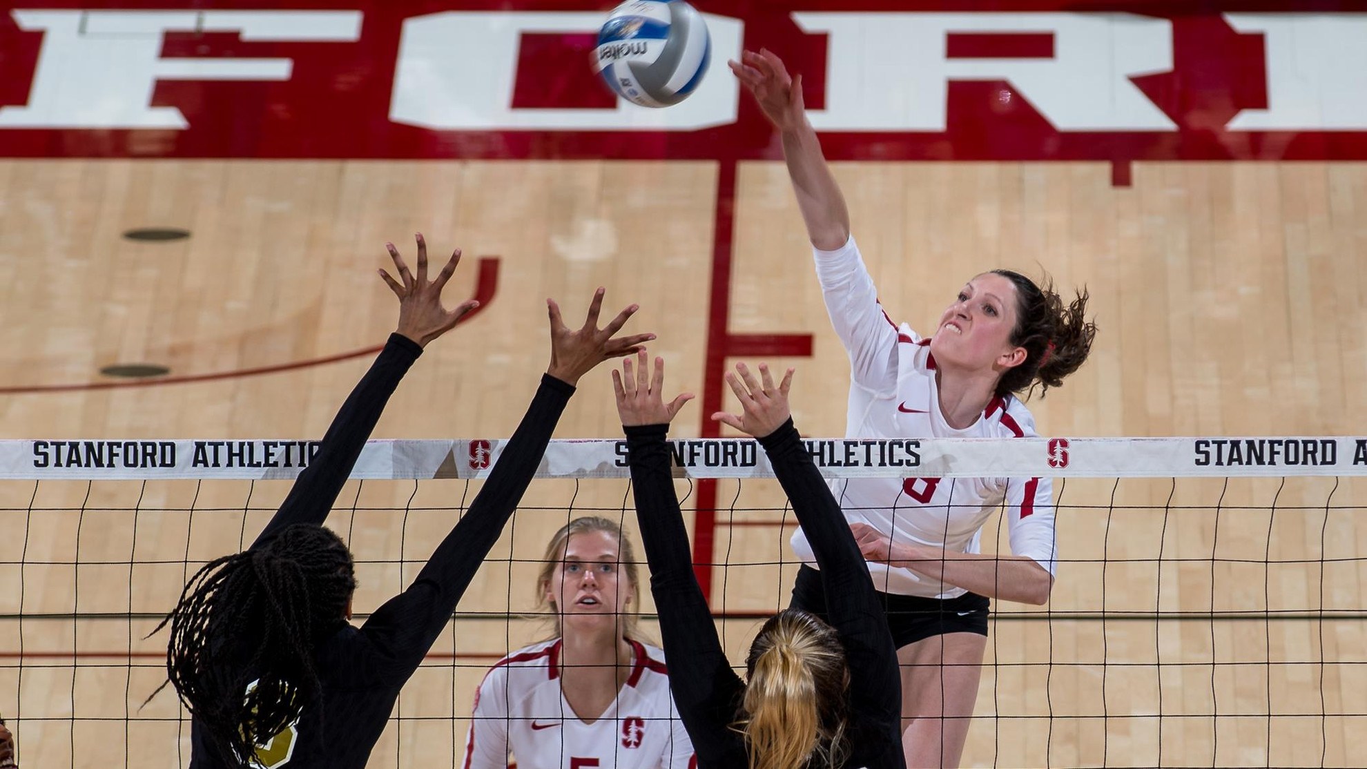 Elite Recognition - Stanford Cardinal - Official Athletics Website