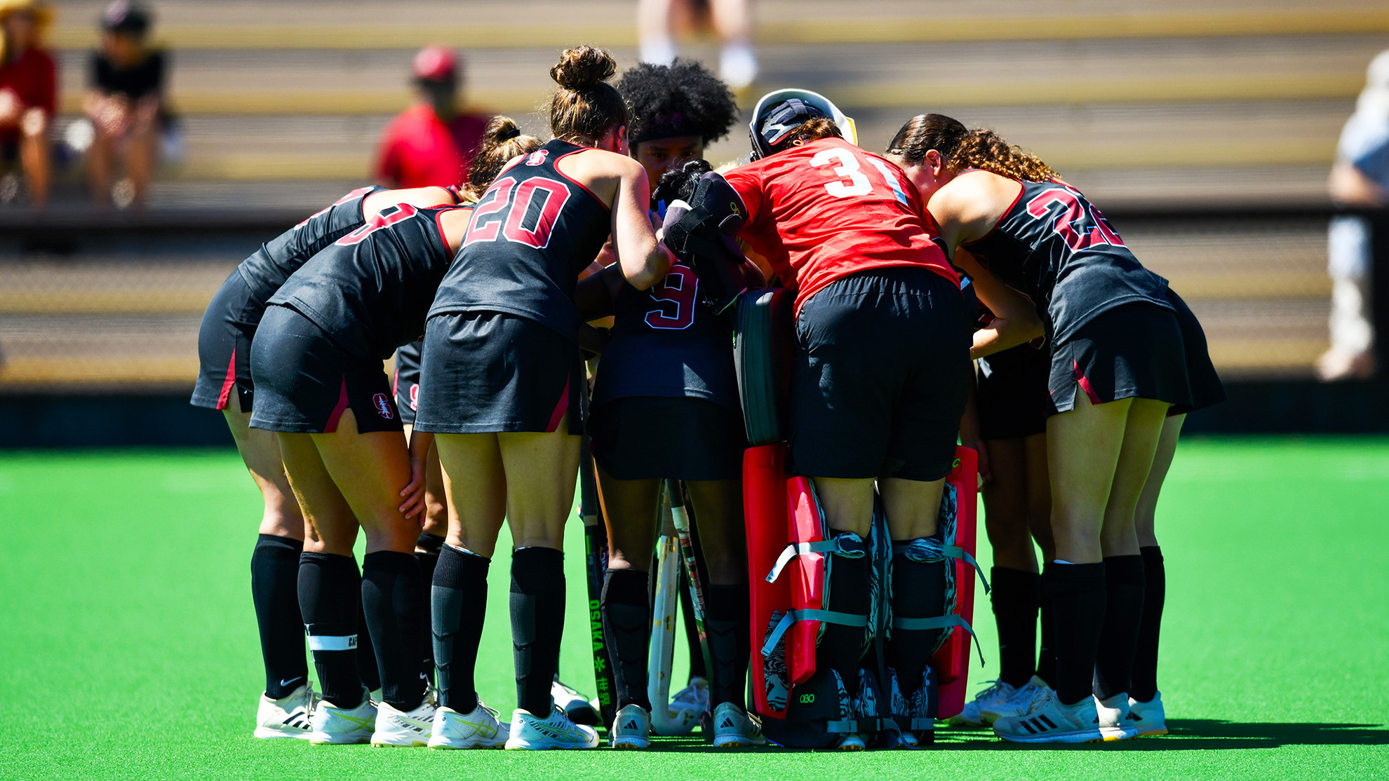 Northeastern Up Next - Stanford Cardinal - Official Athletics Website