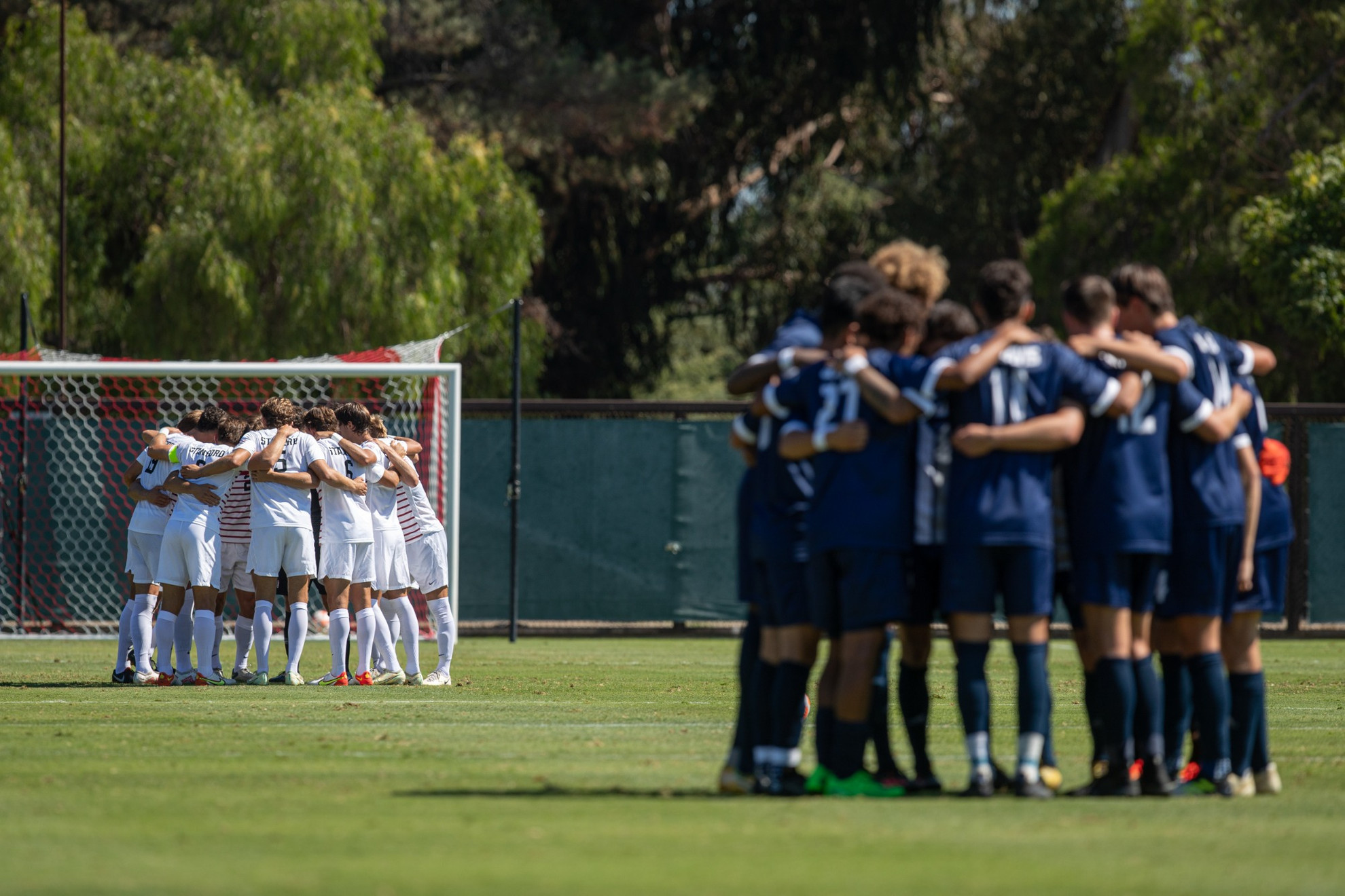 Cardinal Draws with Bluejays - Stanford Cardinal - Official Athletics ...