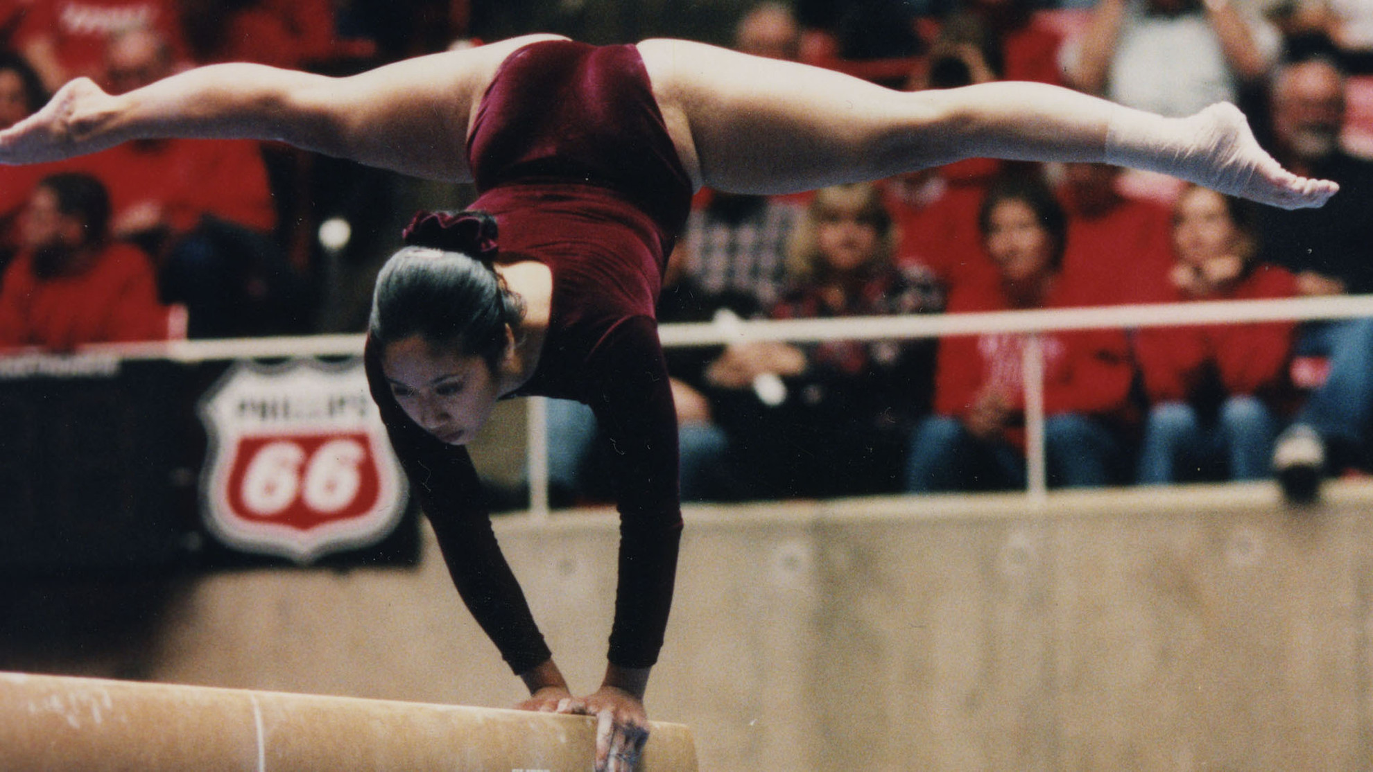 Olympic, World, and National Team Members - Stanford Cardinal ...