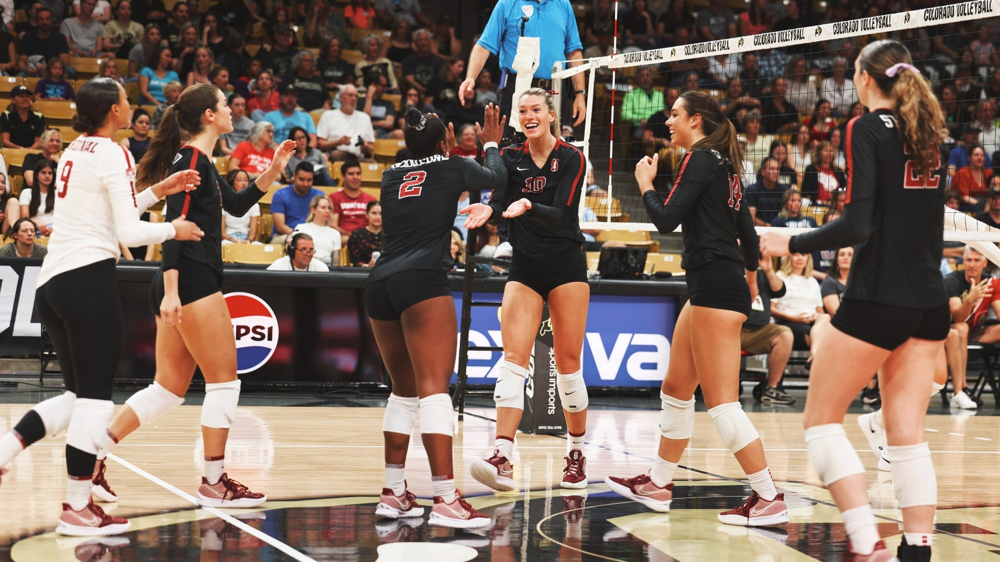 Elia Rubin - Women's Volleyball 2024 - Stanford Cardinal - Official ...