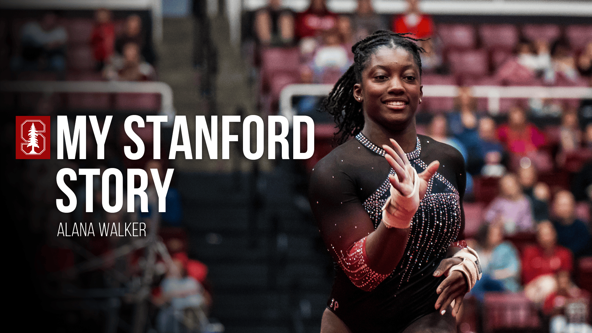 Stanford Women's Gymnastics: My Stanford Story | Alana Walker ...