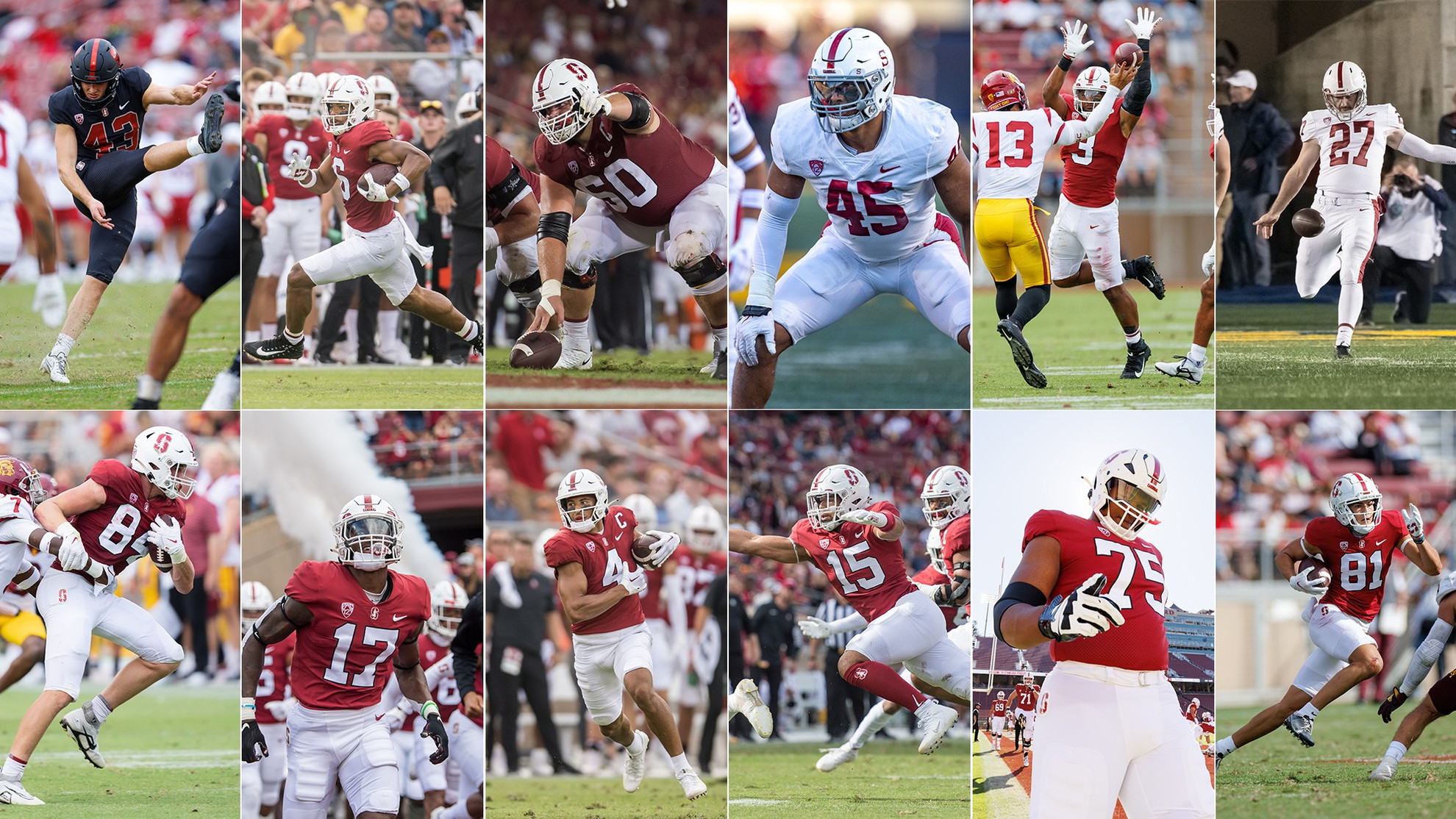 12 Cardinal Earn Conference Honors - Stanford Cardinal - Official ...