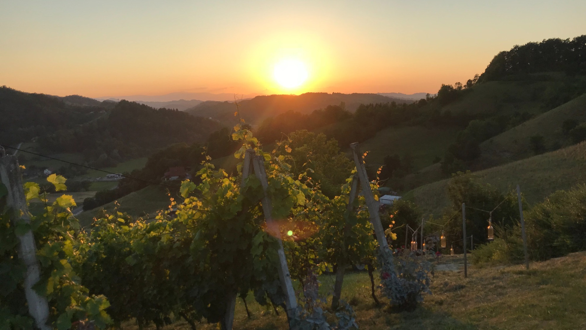 Cardinal Abroad - Stanford Cardinal - Official Athletics Website