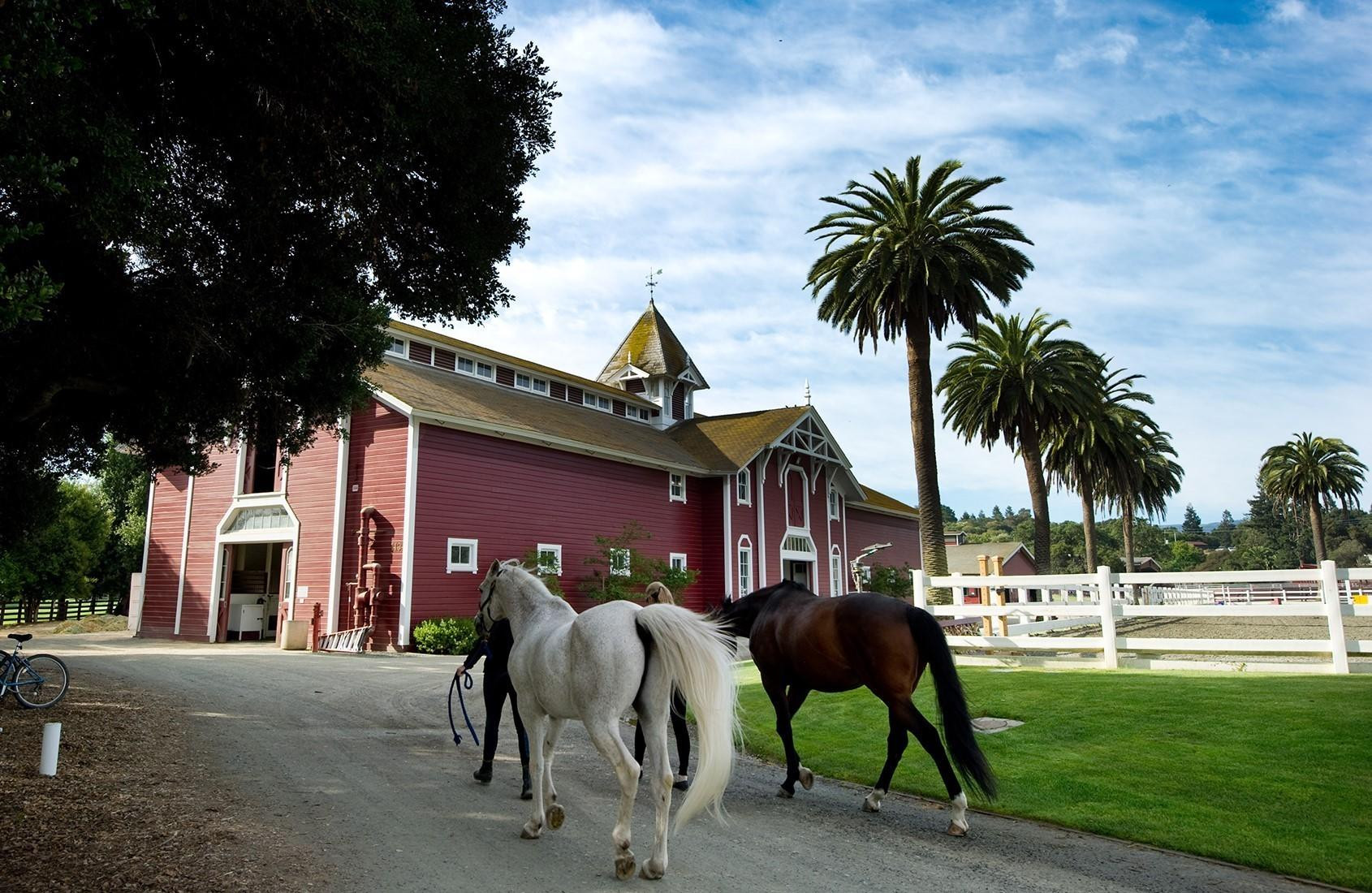 Lewis St Red Horse Barn