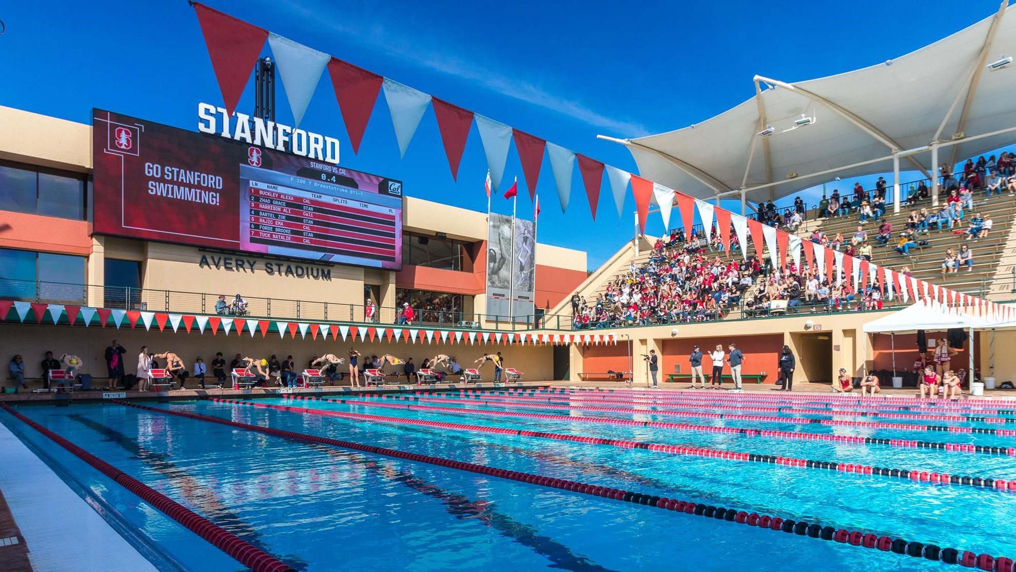 Seven Named to National Team - Stanford Cardinal - Official Athletics ...