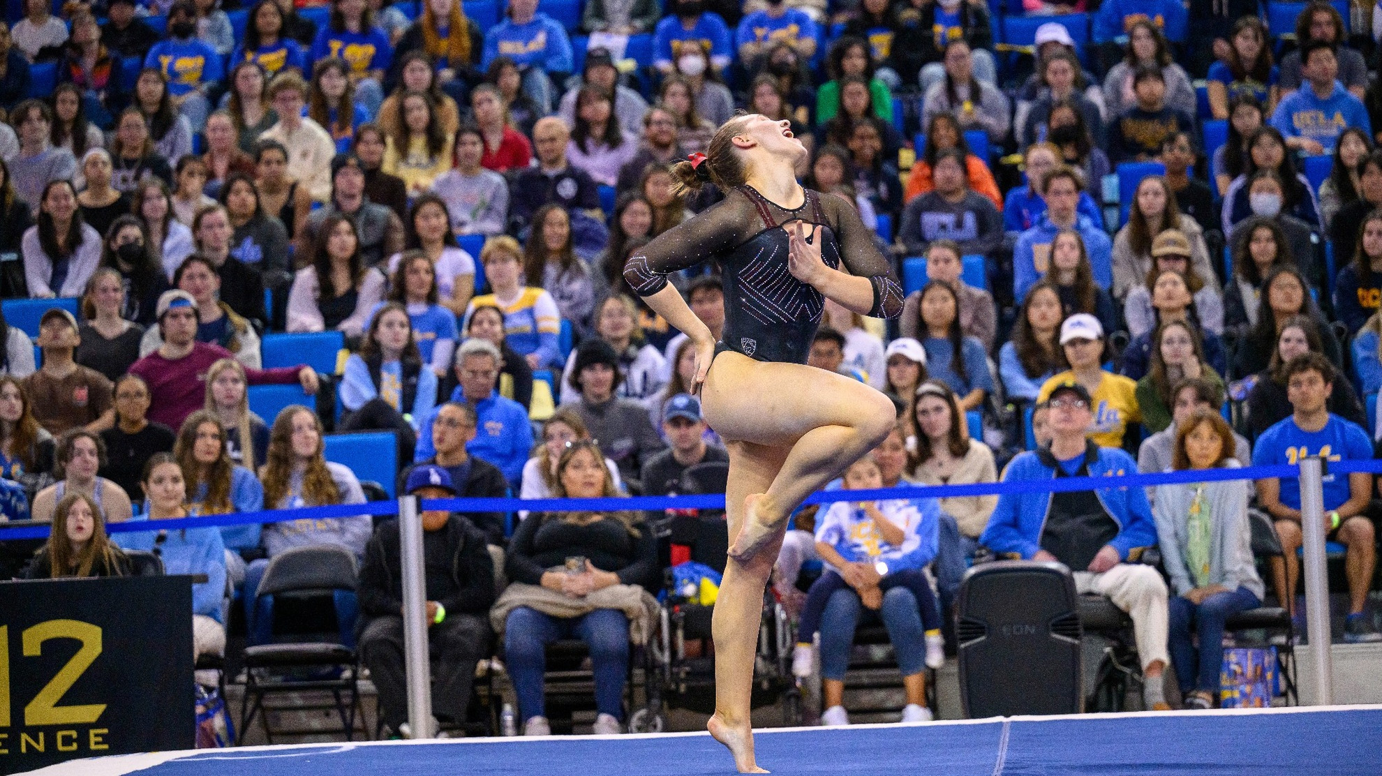 Cardinal Concludes Regular Season in Berkeley - Stanford Cardinal ...