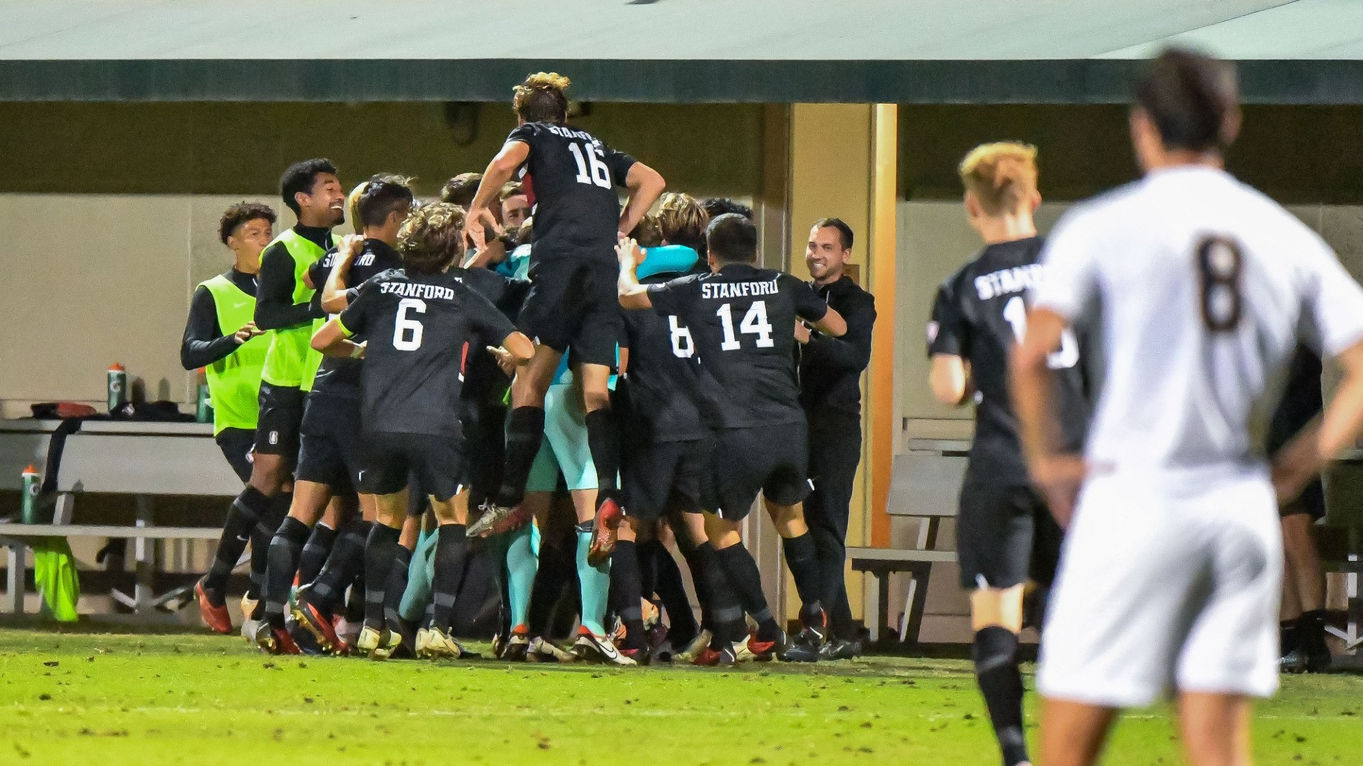 Otherworldly Goals Lead Stanford to Victory - Stanford Cardinal ...