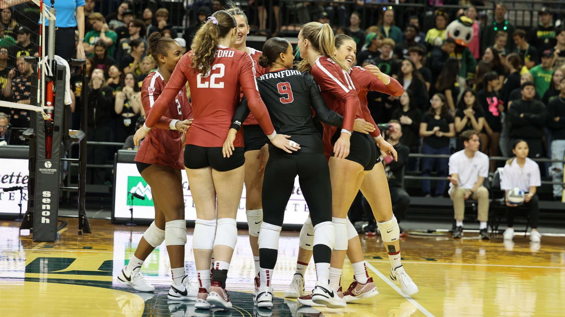 Elia Rubin - Women's Volleyball 2024 - Stanford Cardinal - Official ...