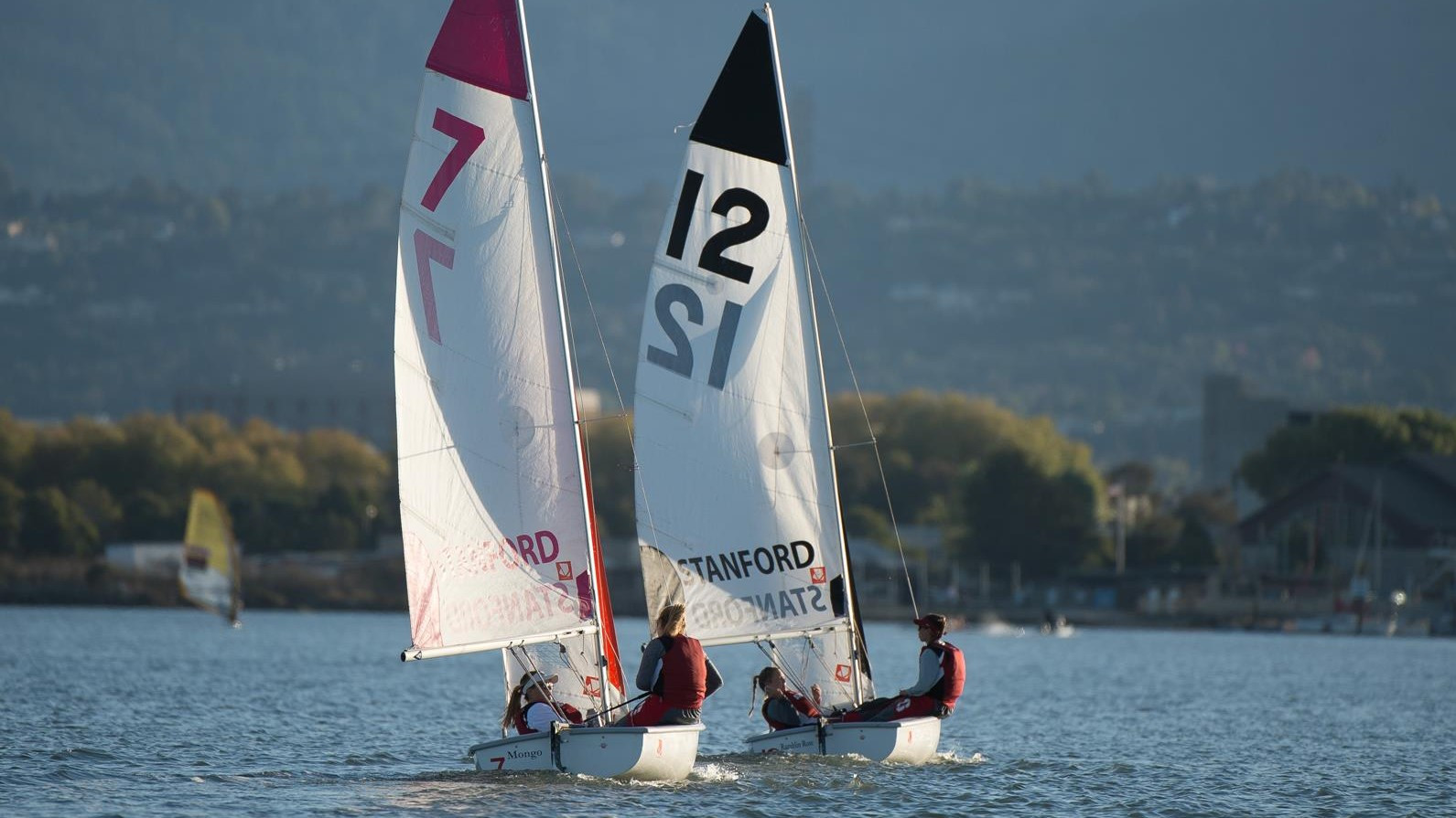 Sailing Starts Season - Stanford Cardinal - Official Athletics Website