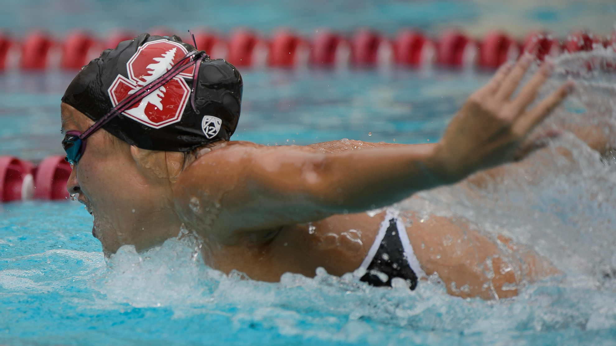 Signings and Sweeps - Stanford Cardinal - Official Athletics Website