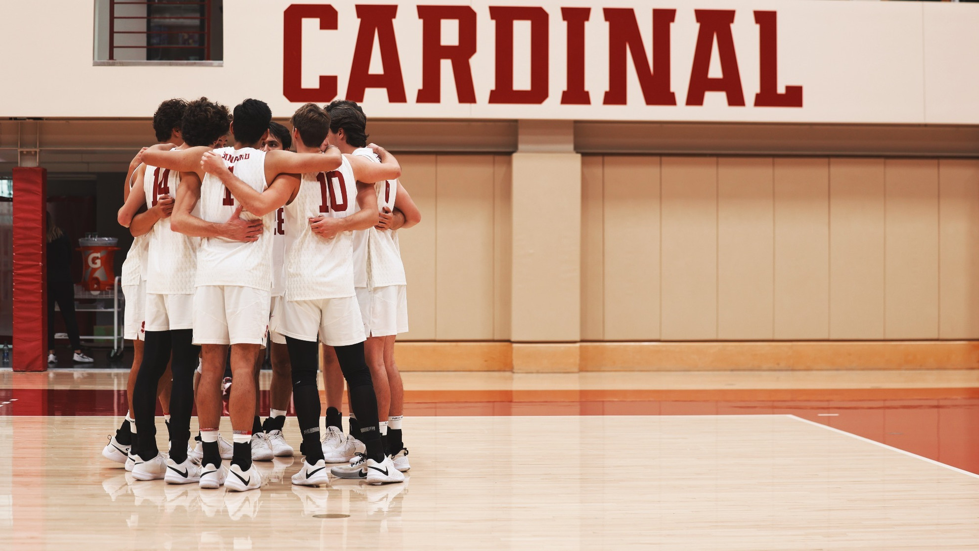 Cardinal Picked Second - Stanford Cardinal - Official Athletics Website