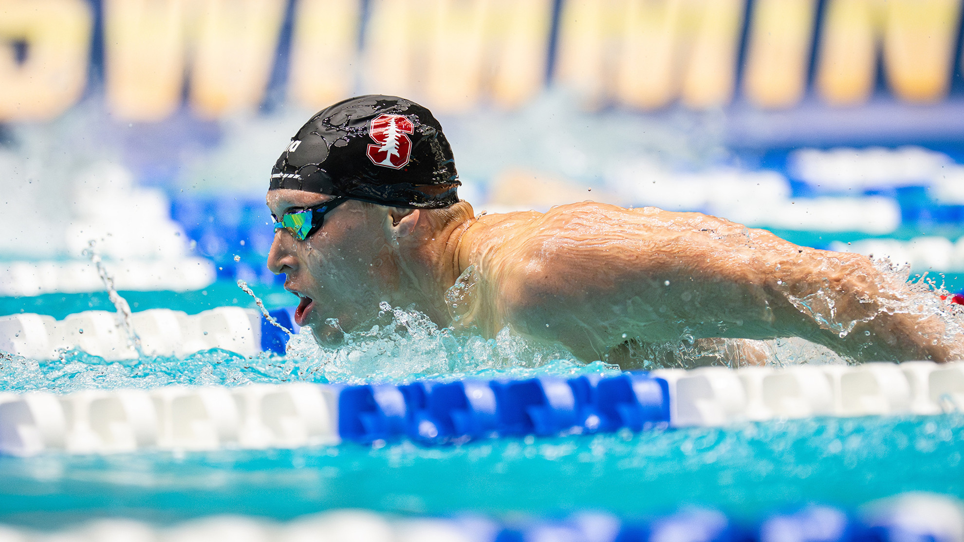 Men's Swimming and Diving: Season in Review - Stanford Cardinal ...
