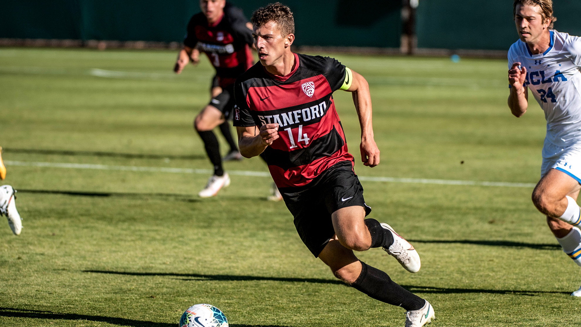 Ryan Named All-America - Stanford Cardinal - Official Athletics Website