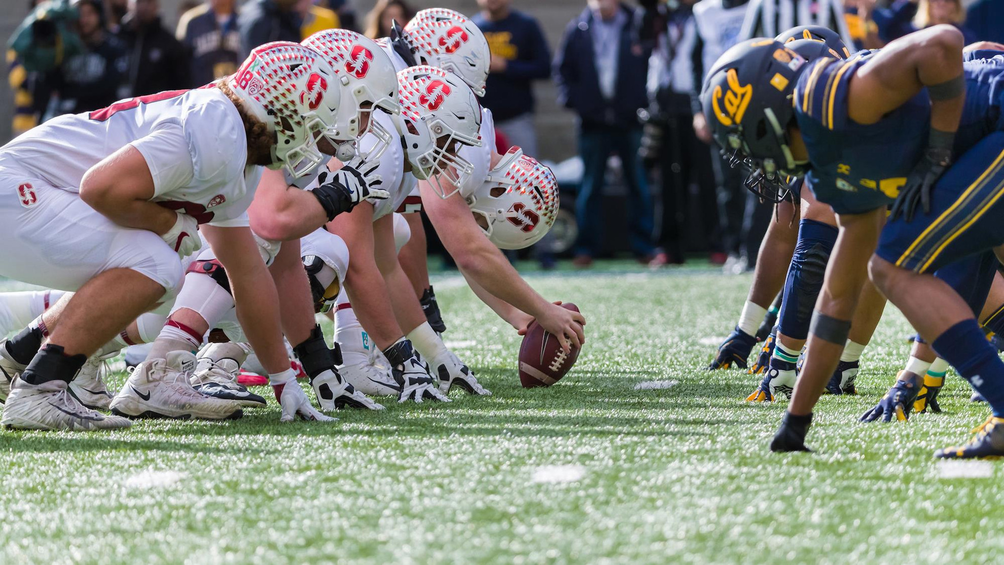 Matt Doyle - Stanford Cardinal - Official Athletics Website