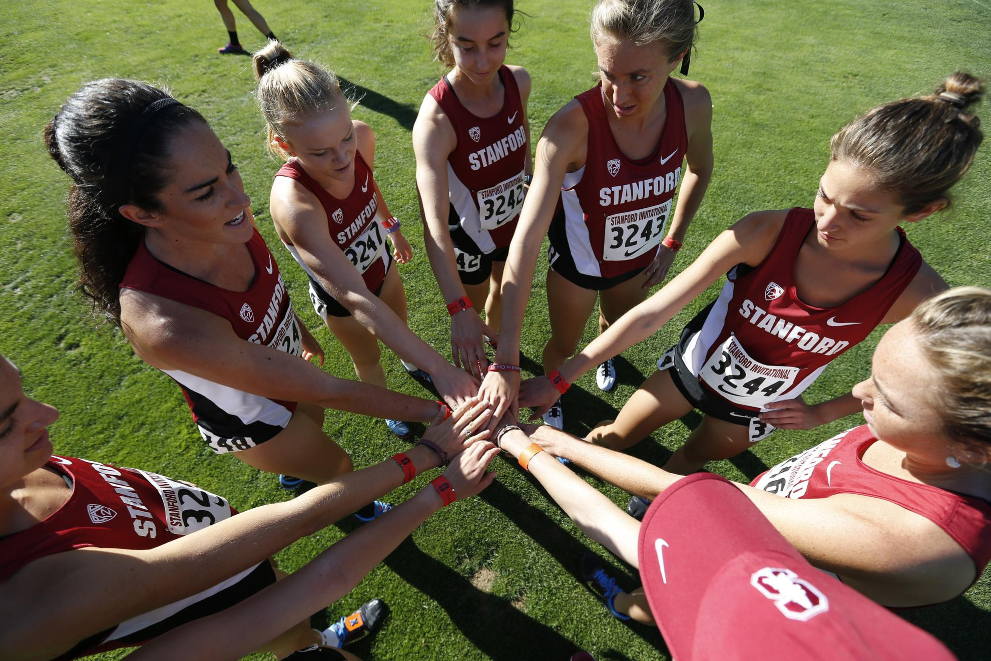Home Meet Information - Stanford Cardinal - Official Athletics Website