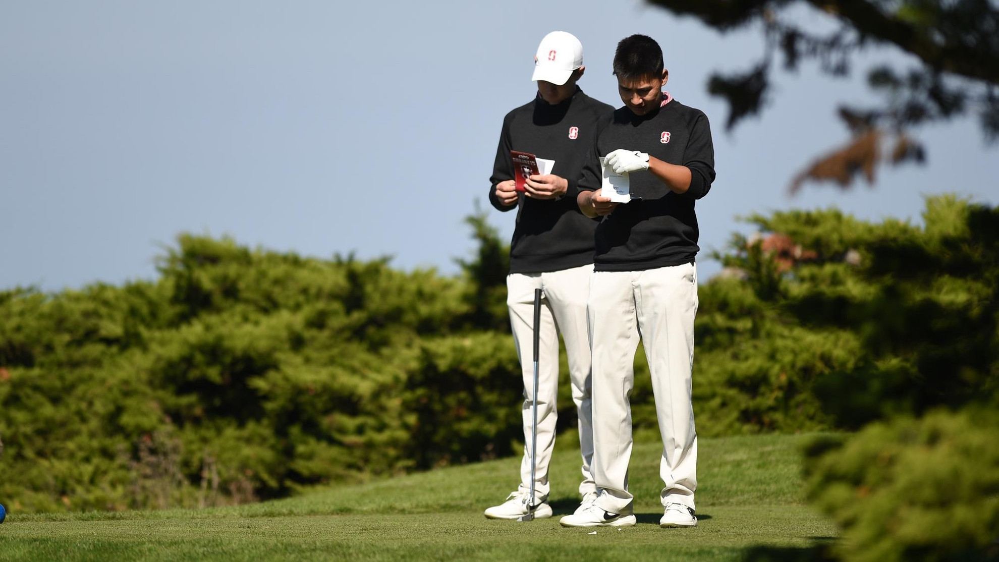 Men's Golf 2024-25 - Stanford Cardinal - Official Athletics Website