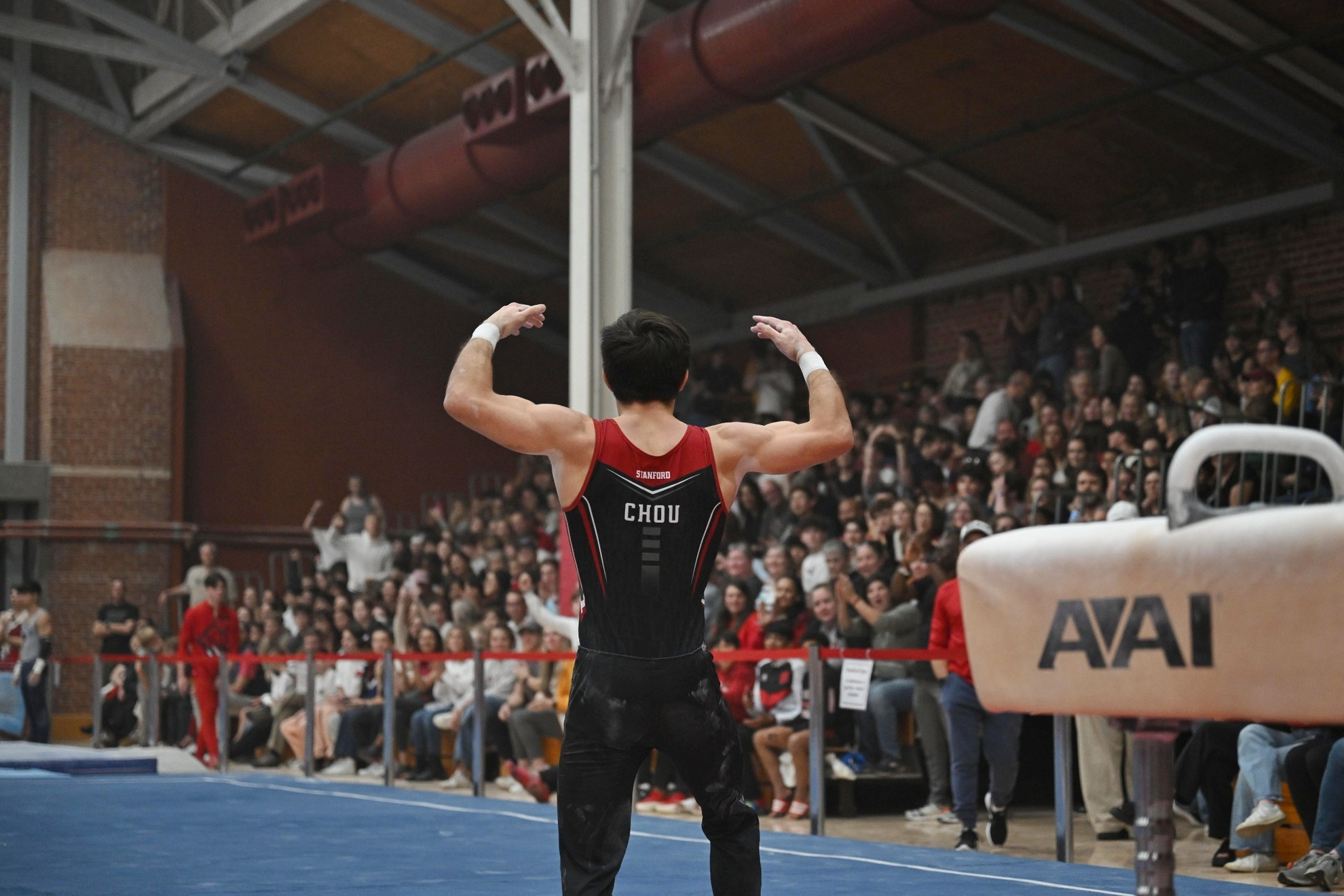 Stanford Open Victory - Stanford Cardinal - Official Athletics Website