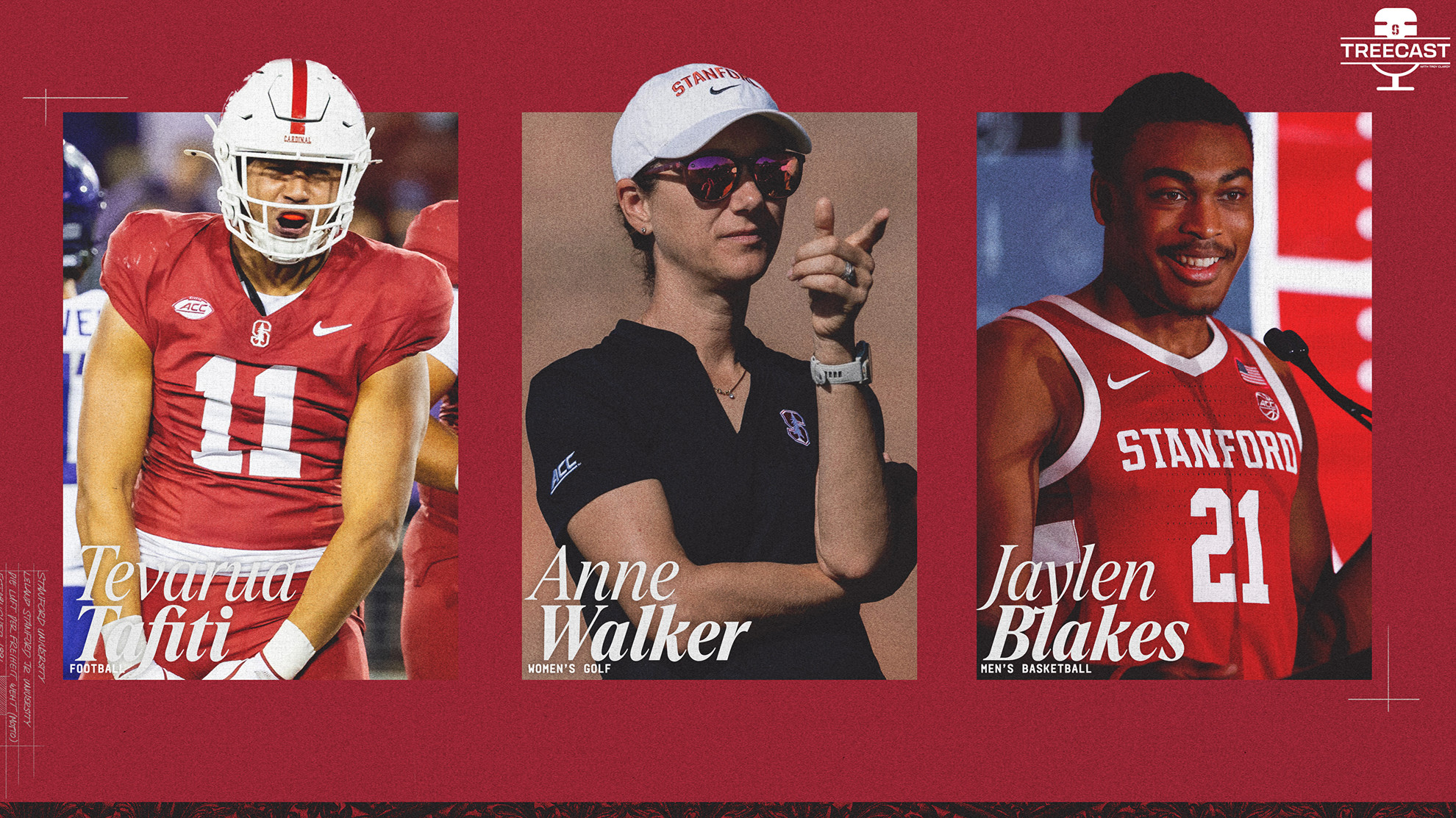 The TreeCast Episode 205: Mustangs at the Midpoint - Stanford Cardinal ...