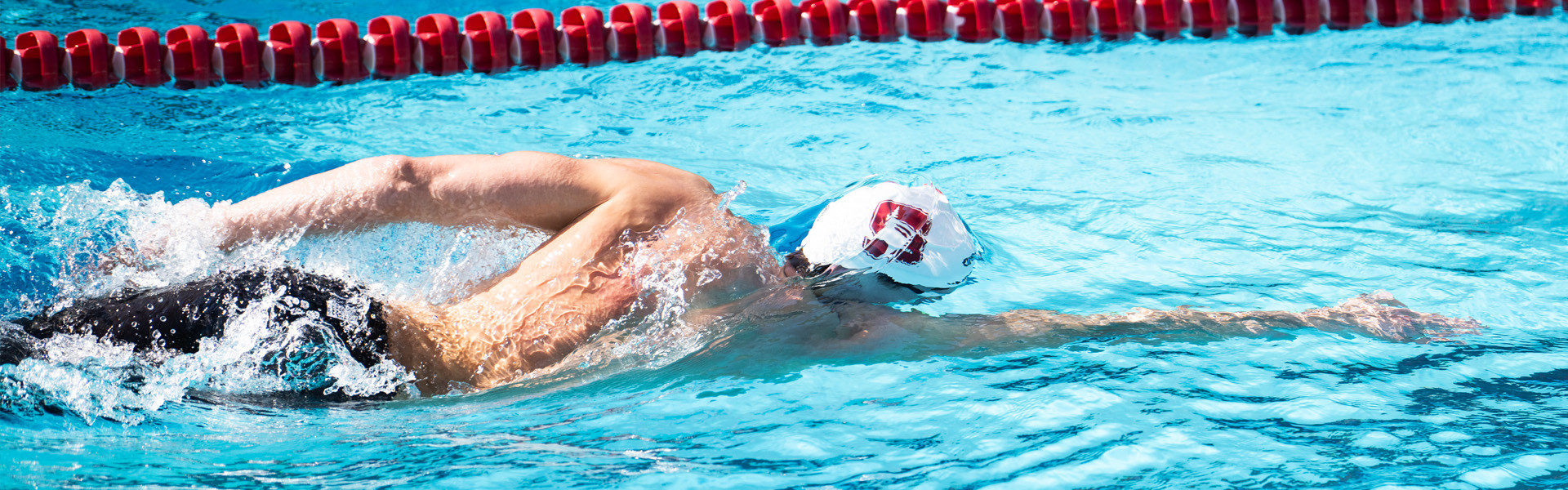 Men's Swimming & Diving 2025-26 - Stanford Cardinal - Official ...