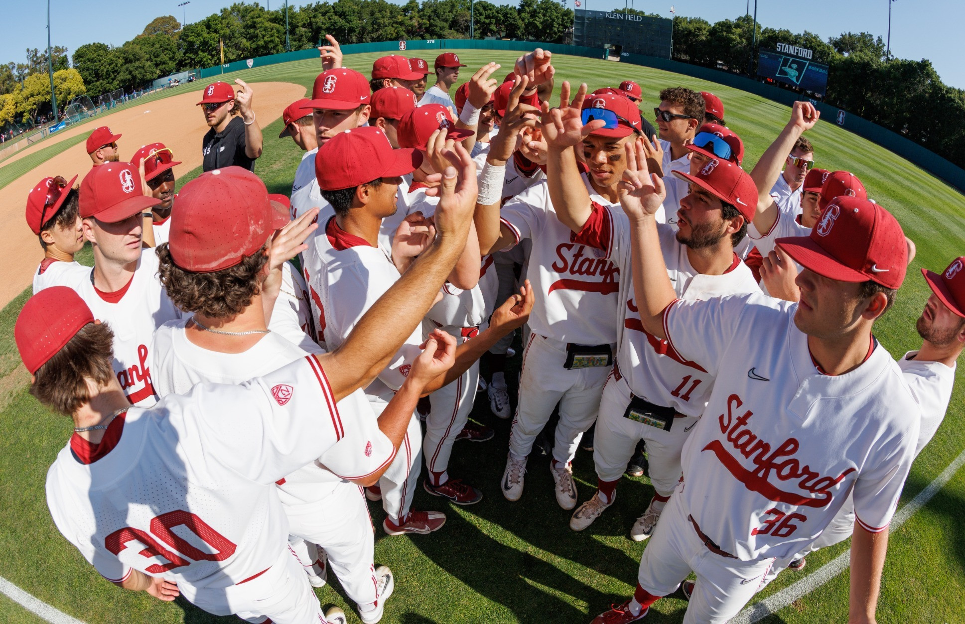 Cardinal Earns Academic Excellence Award - Stanford Cardinal - Official ...